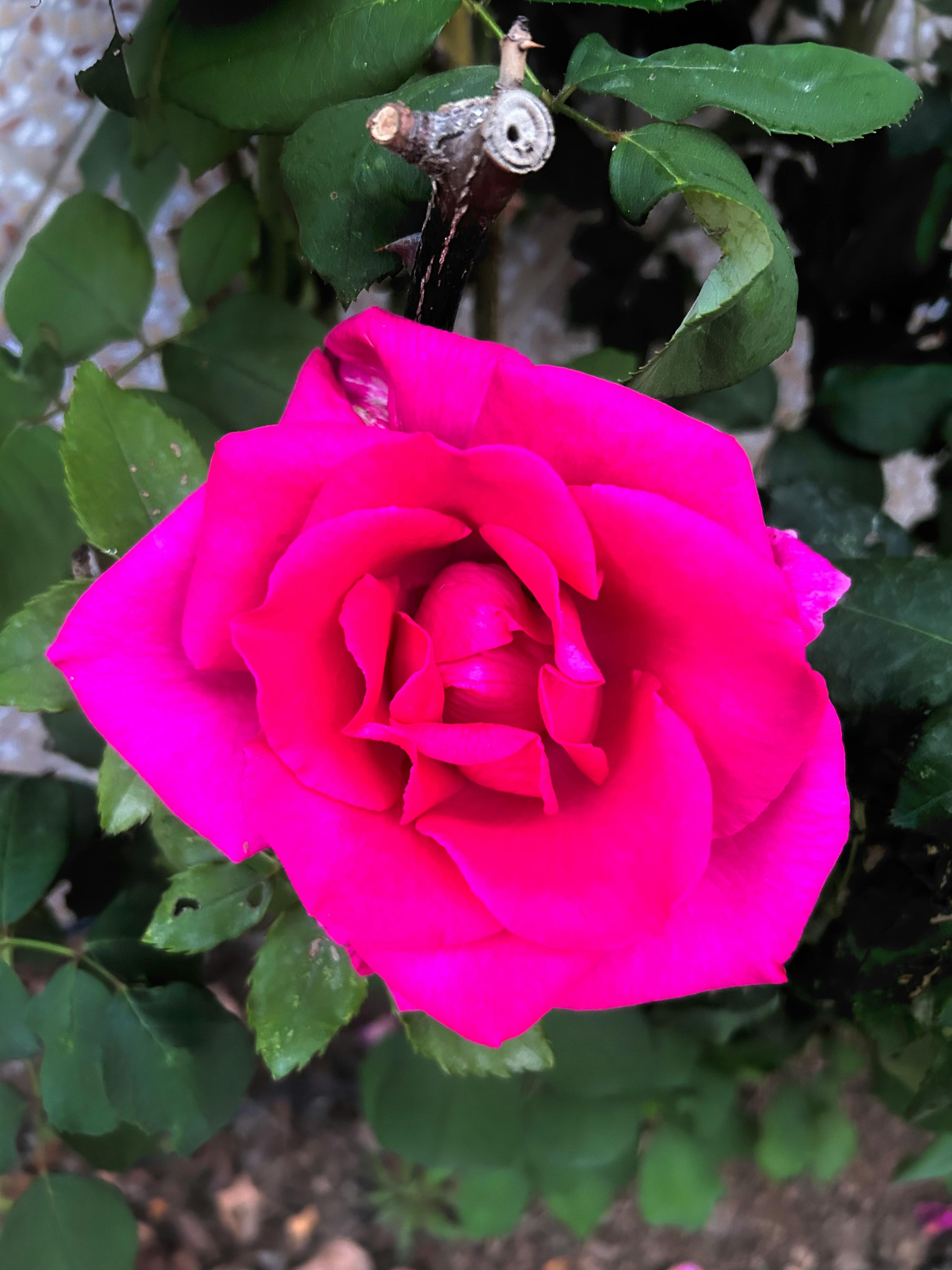 Marianna Skavatsou - Photography