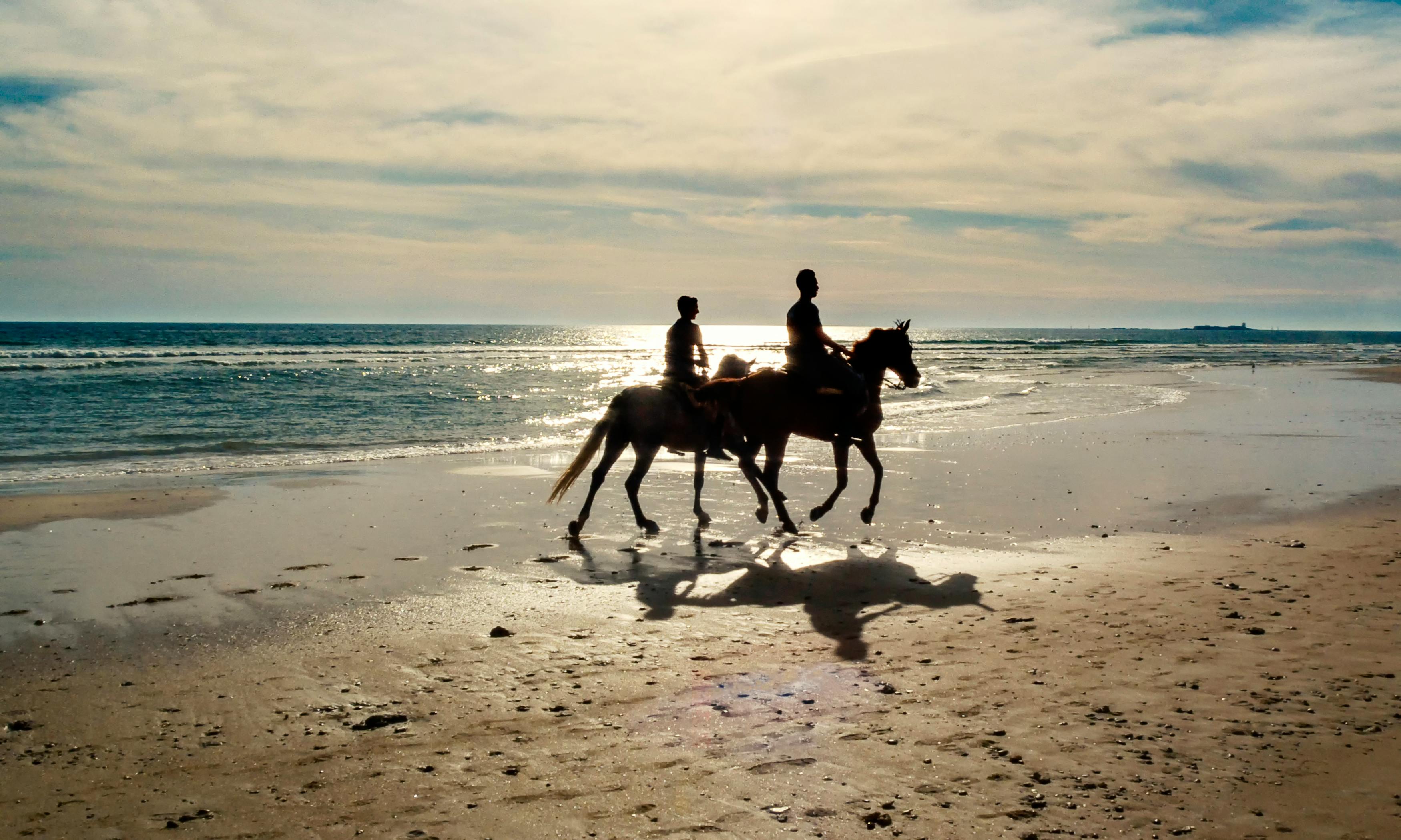 Couple Riding Horses on Beach · Free Stock Photo