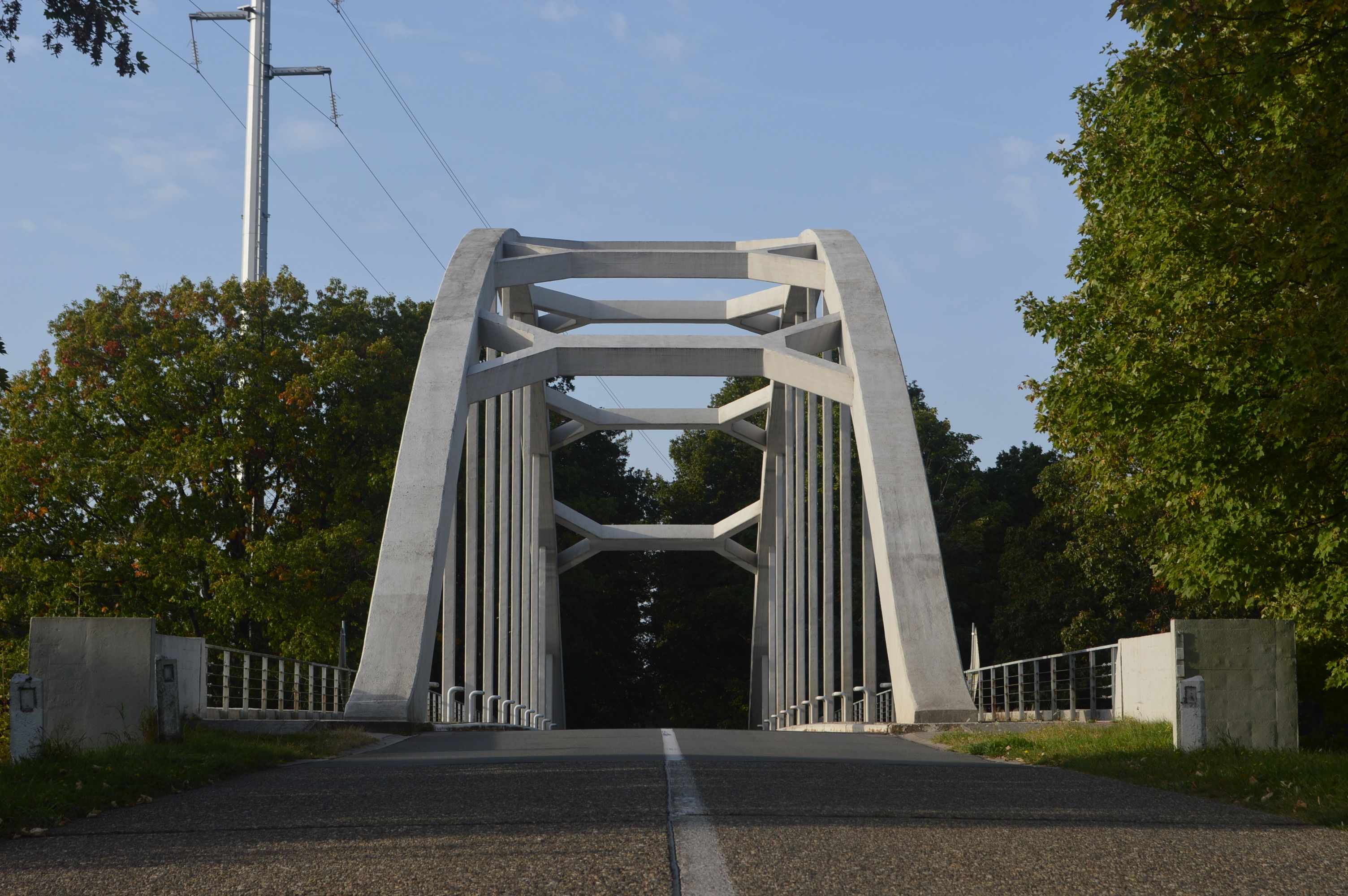 Road and Bridge in Forest · Free Stock Photo