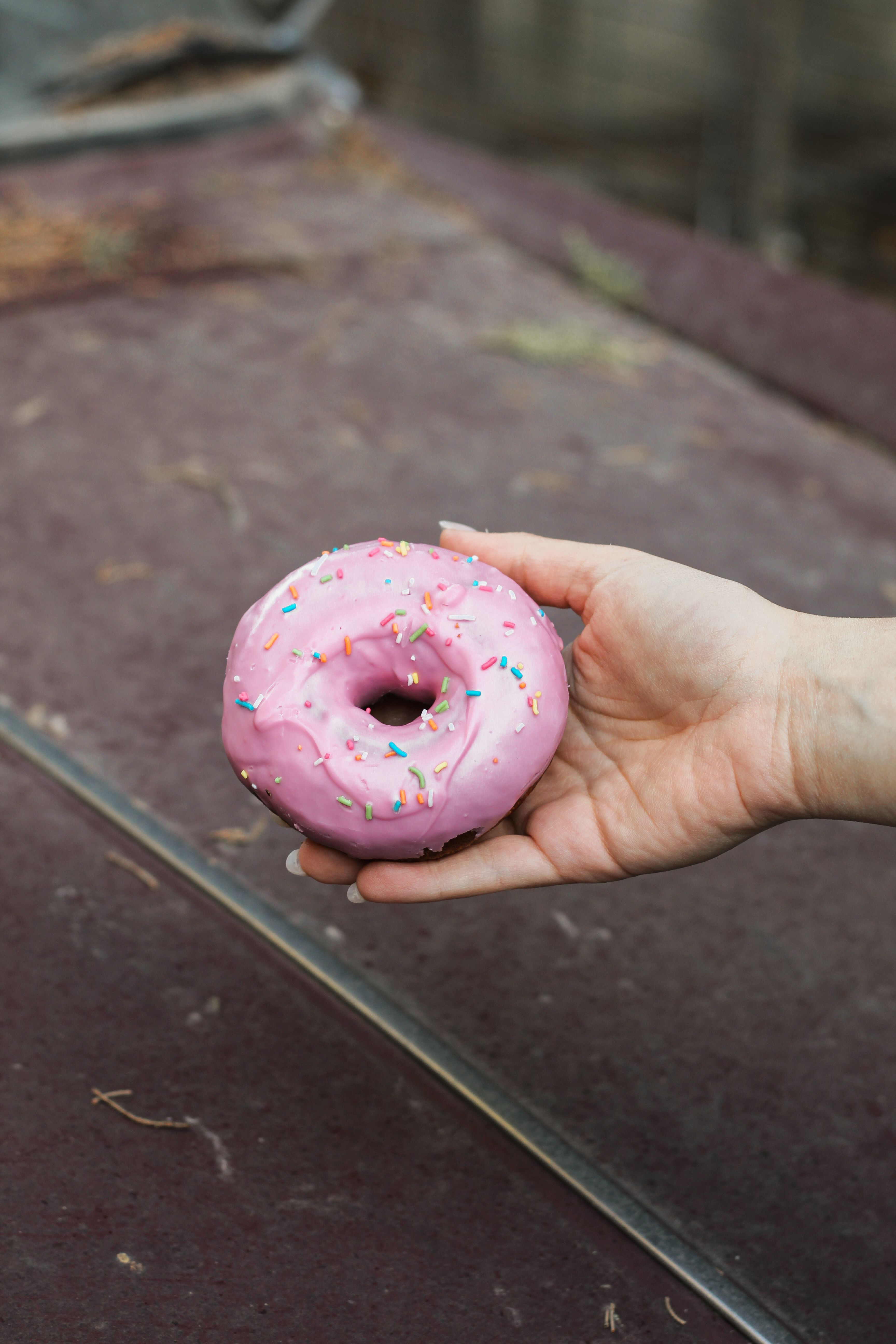 Woman Hand Holding Donut · Free Stock Photo
