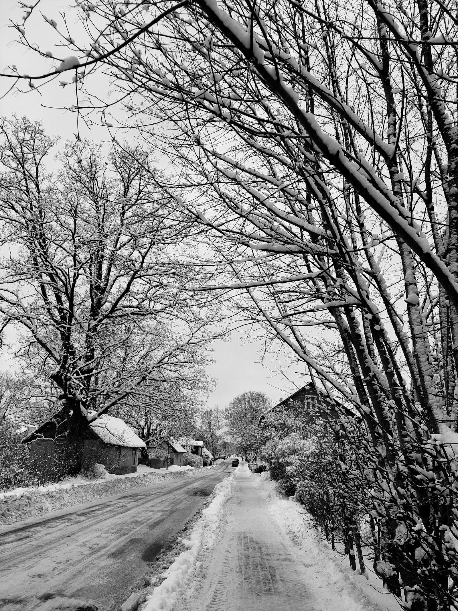 Victorian House In Snow Photos, Download The BEST Free Victorian House ...