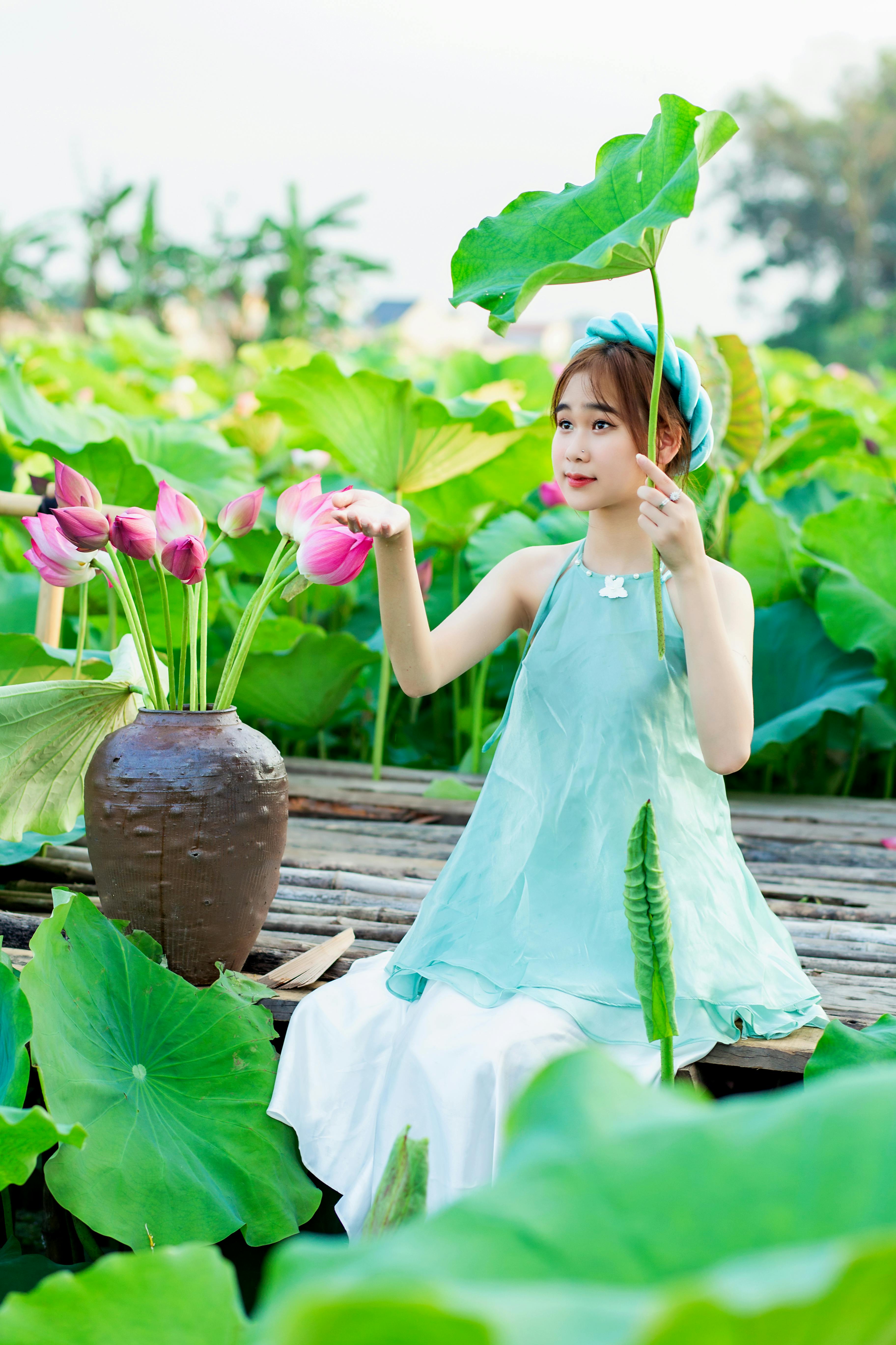 Lotus Pier Photos, Download The BEST Free Lotus Pier Stock Photos & HD ...