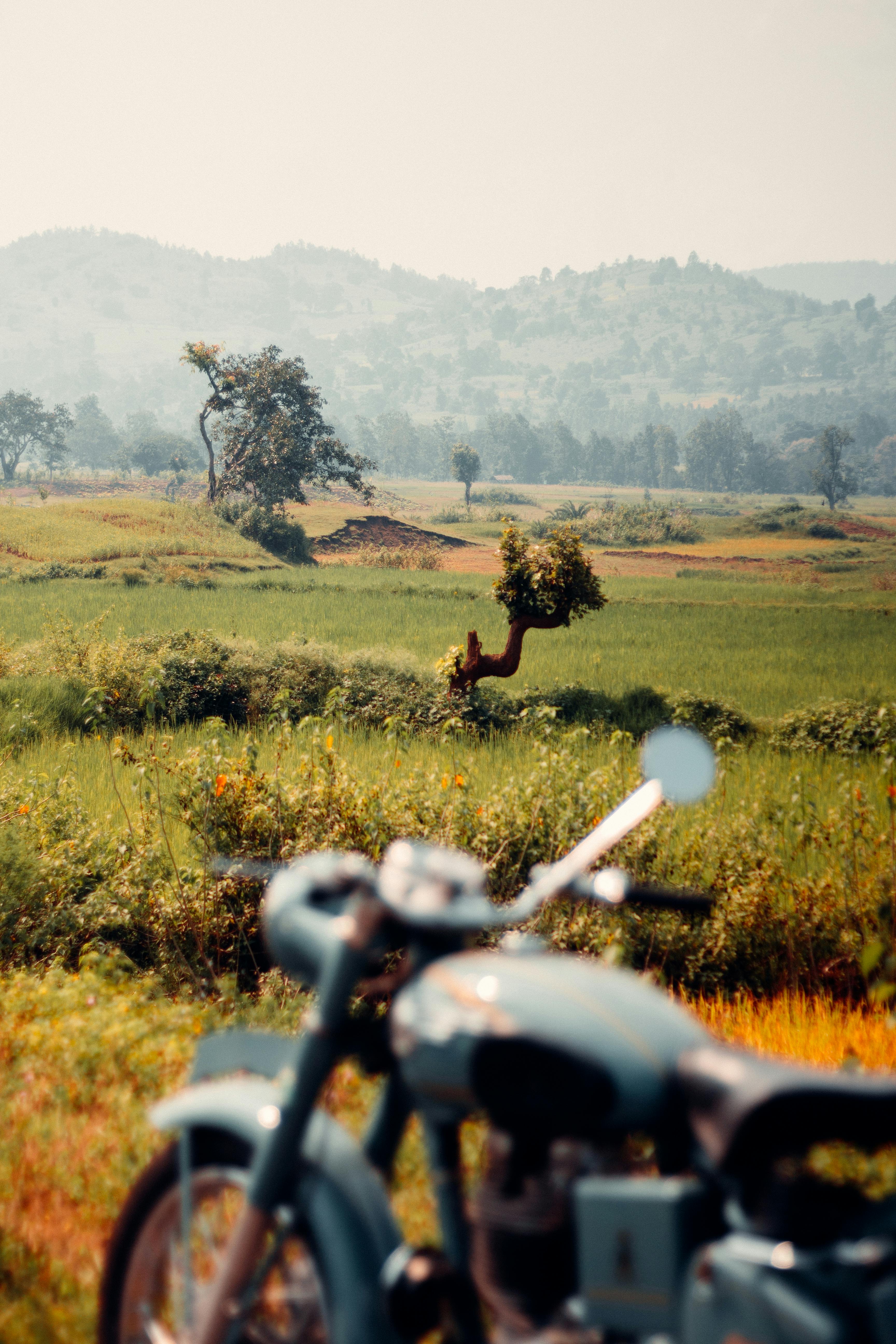 Motorcycle on Road by Wheat Field · Free Stock Photo