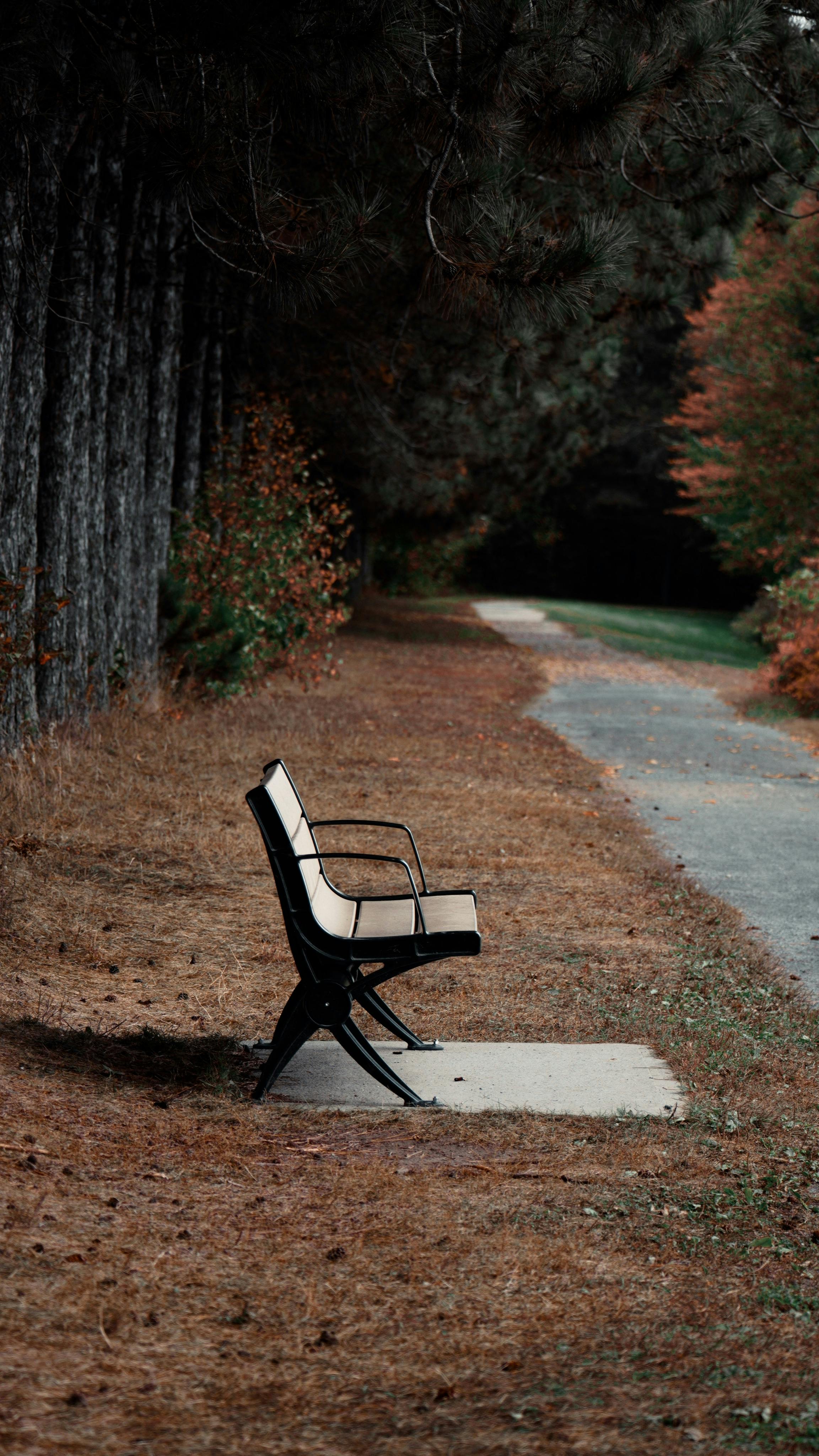 Wooden Benches in Park in Autumn · Free Stock Photo