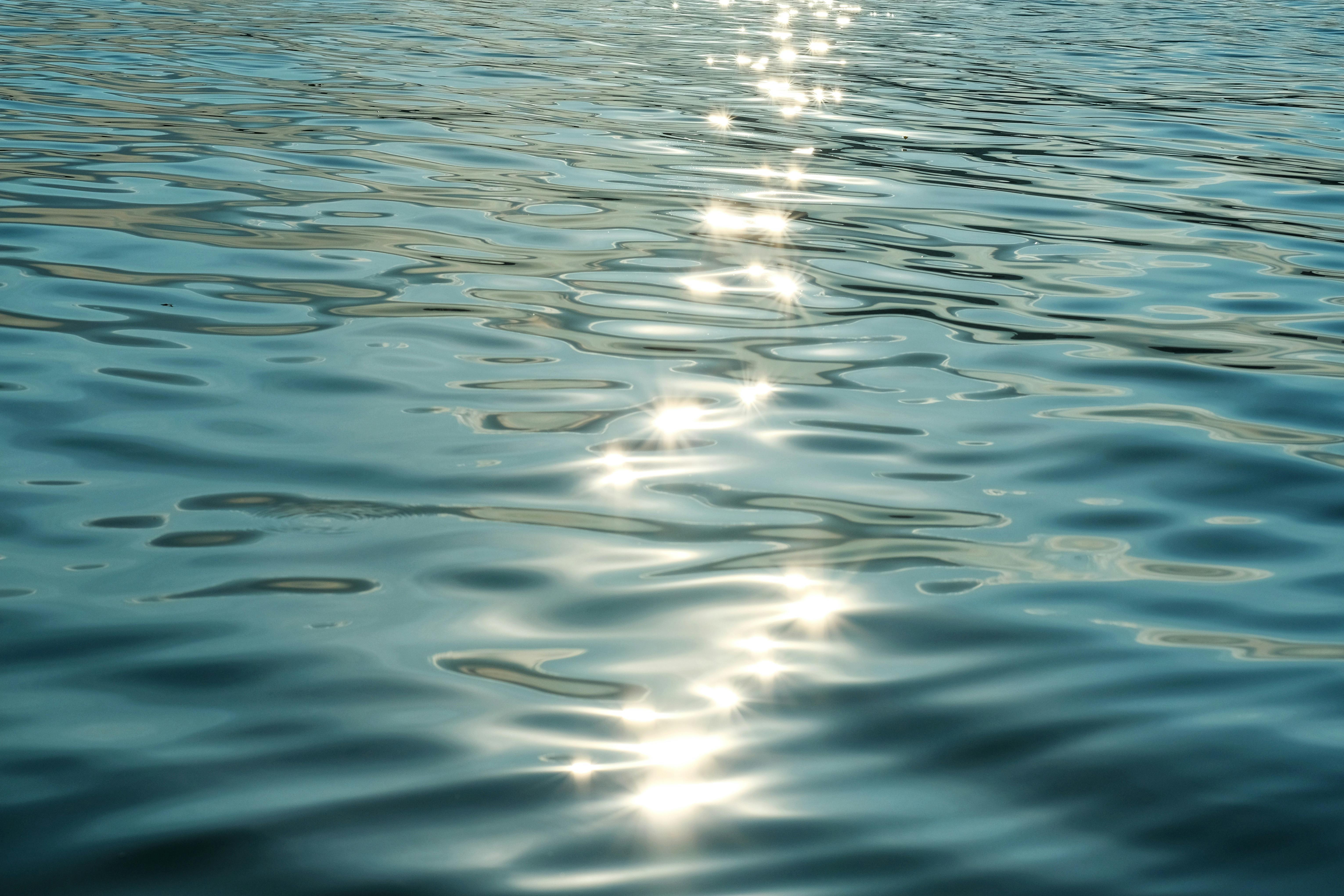 Aquatic Texture Photos, Download The BEST Free Aquatic Texture Stock Photos & HD Images