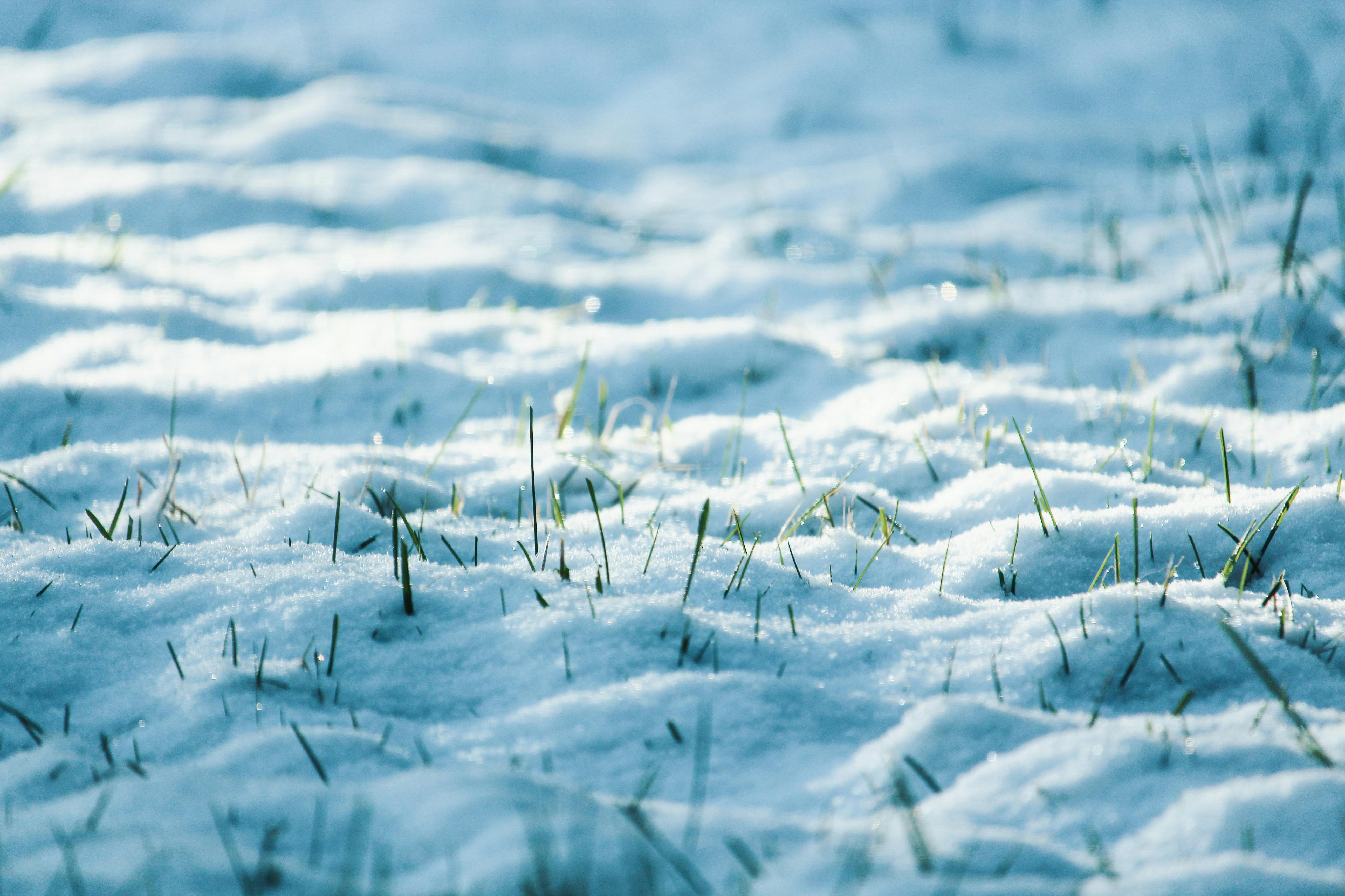 Close-Up Photo of Snow · Free Stock Photo