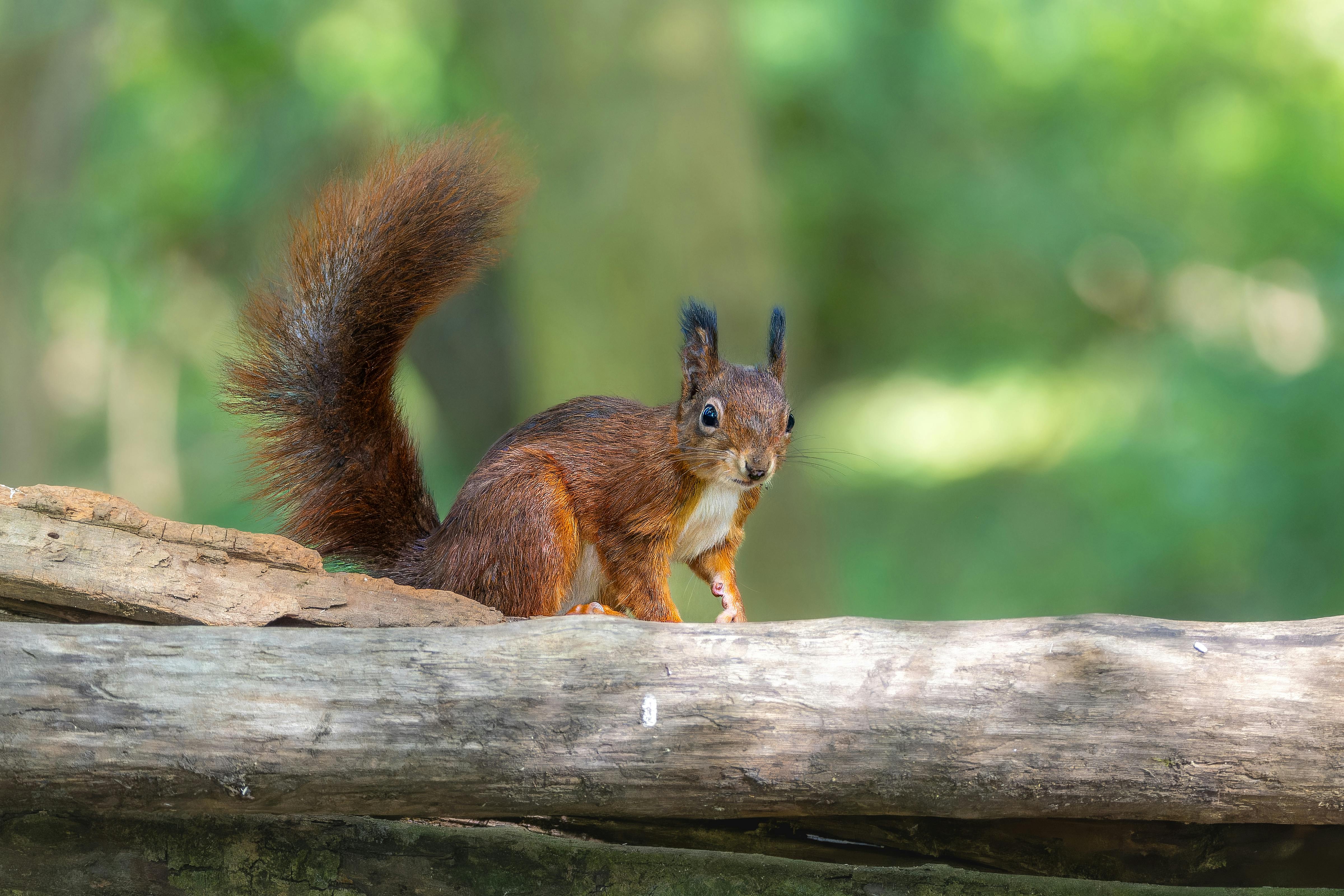 12k Wallpaper Nature Photos, Download The BEST Free 12k Wallpaper ...