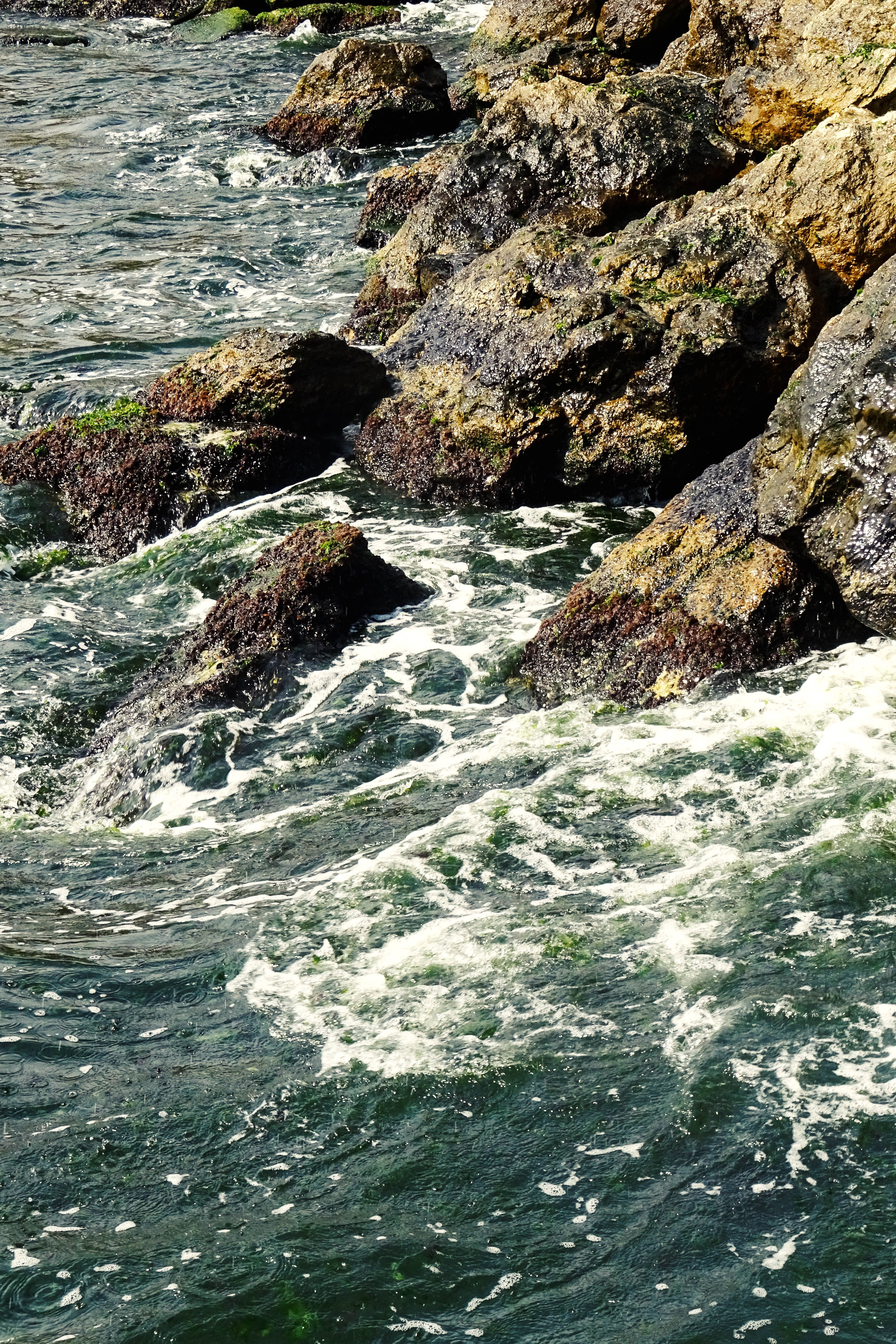 Sea Waves Washing Over the Rock · Free Stock Photo