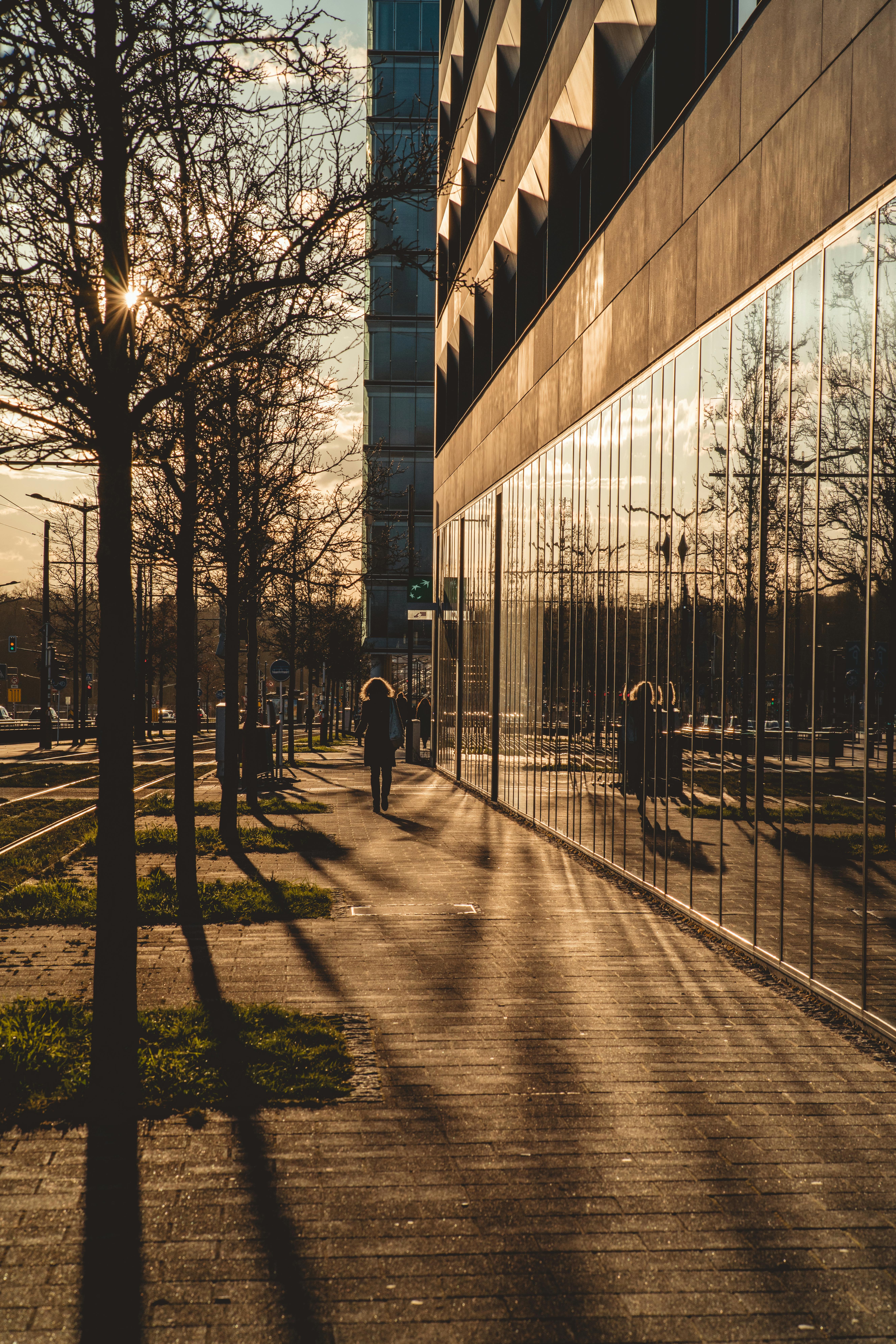 Sidewalk in Sunset Light · Free Stock Photo