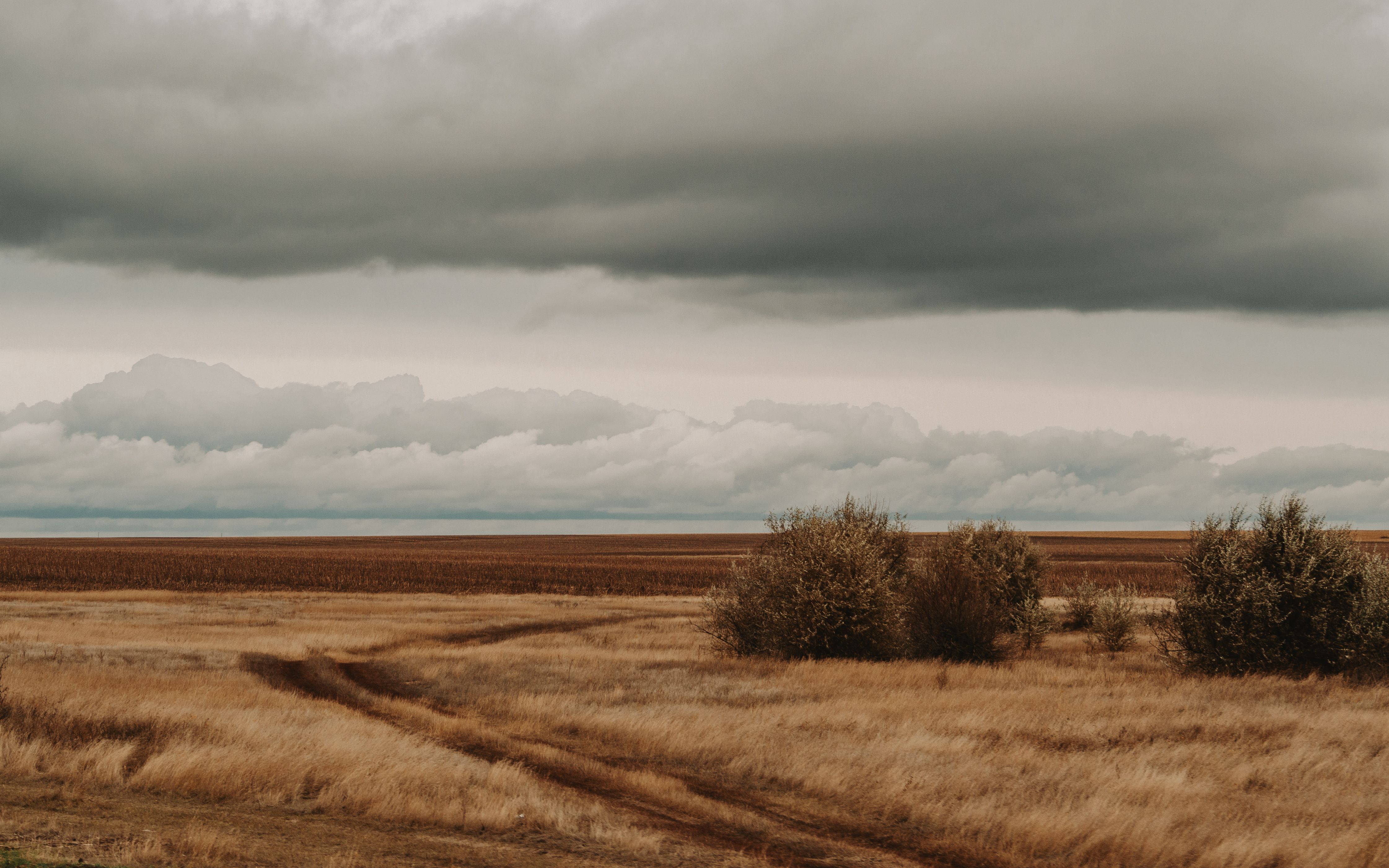 Field in Autumn · Free Stock Photo