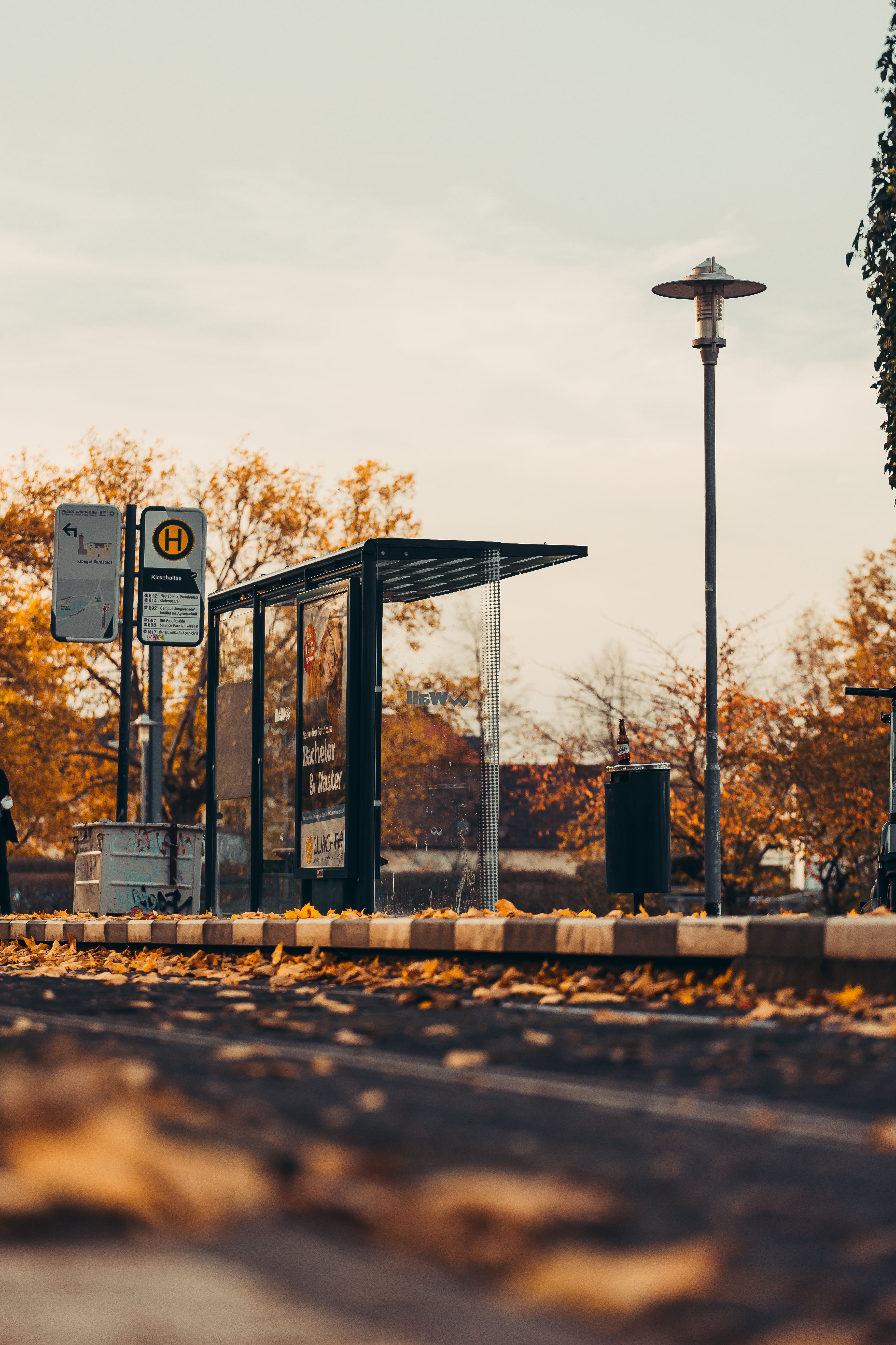 Bus Stop in Autumn · Free Stock Photo