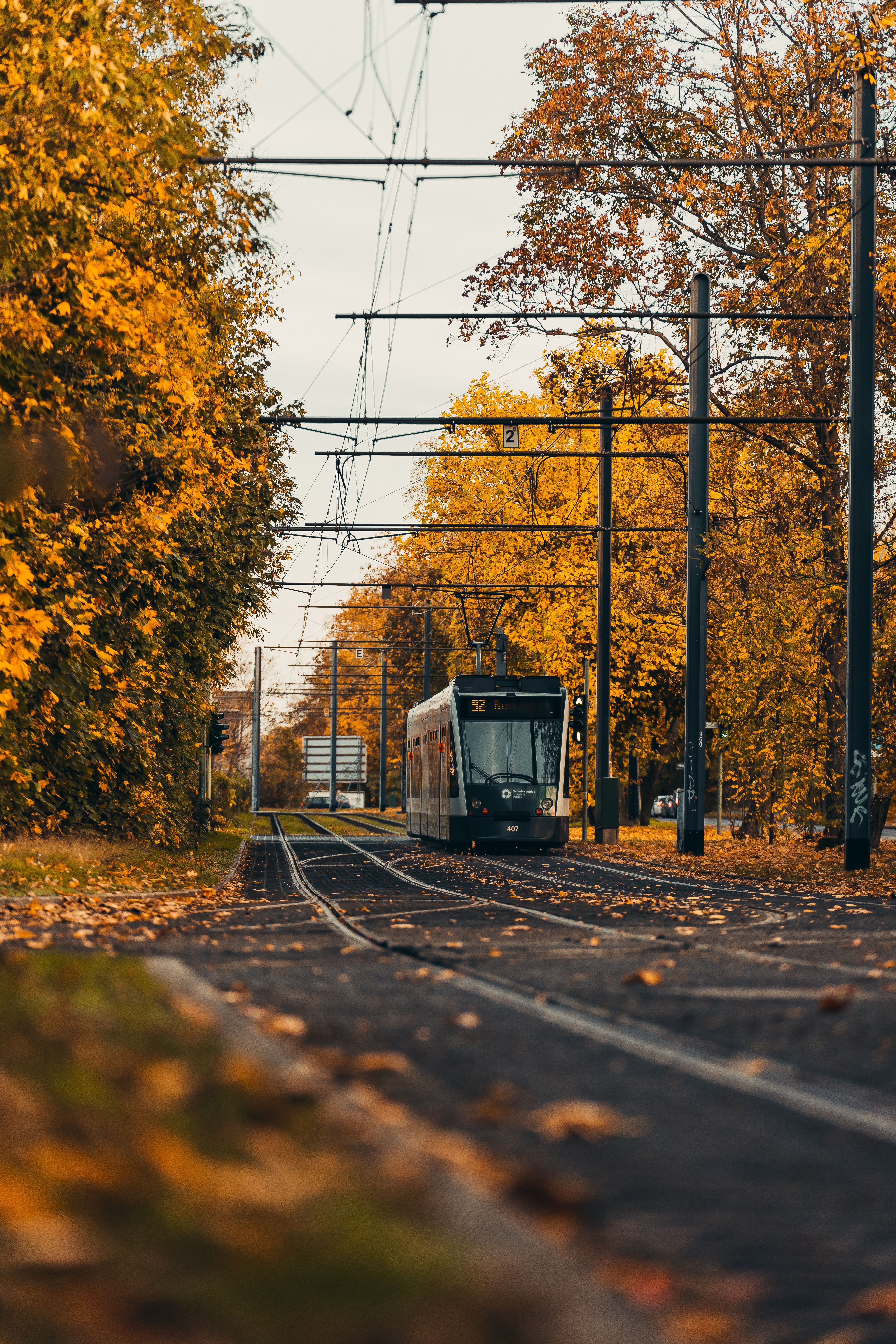 Tram in an Autumn Landscape · Free Stock Photo