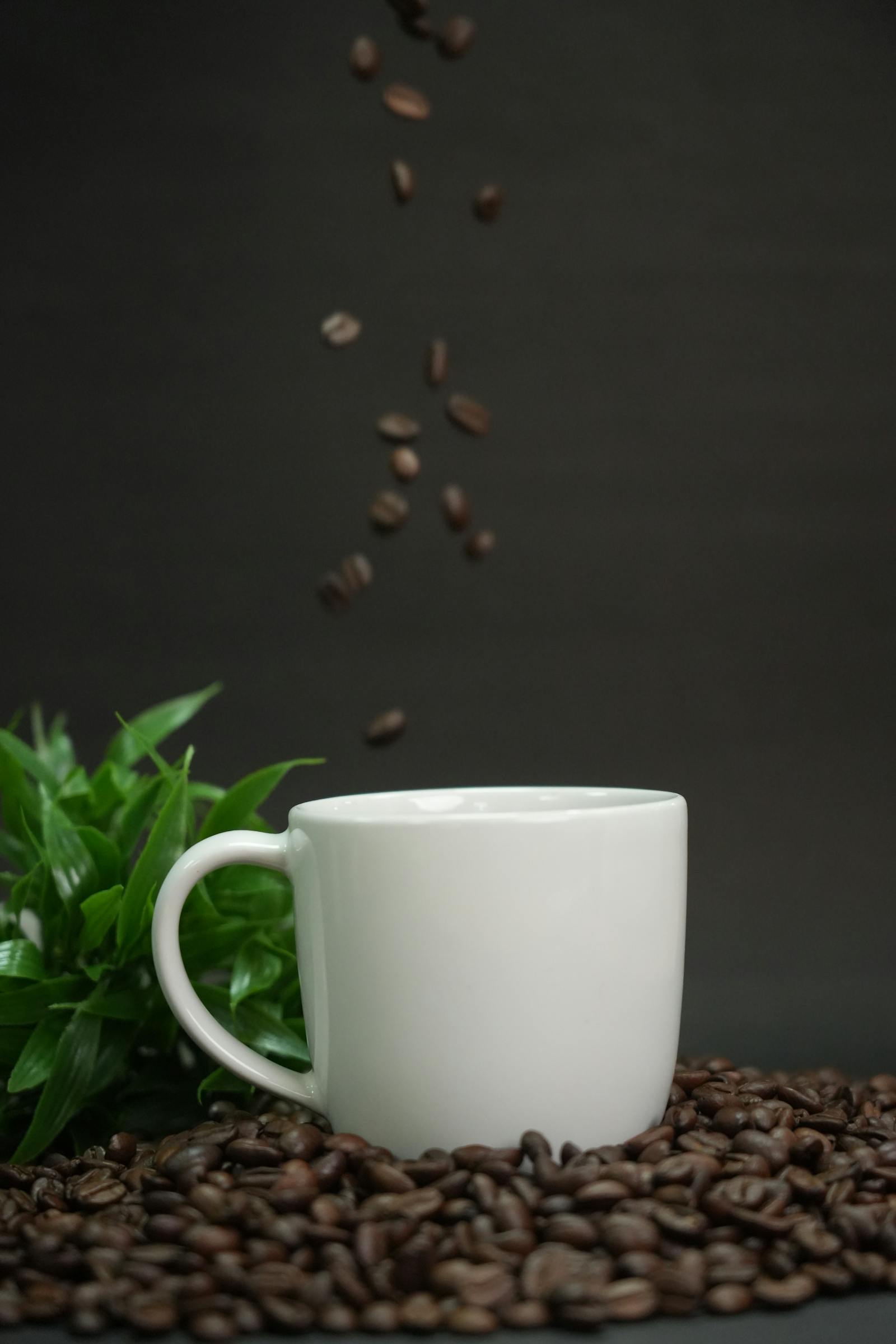 Falling Down Photos, Download The BEST Free Falling Down Stock Photos ...