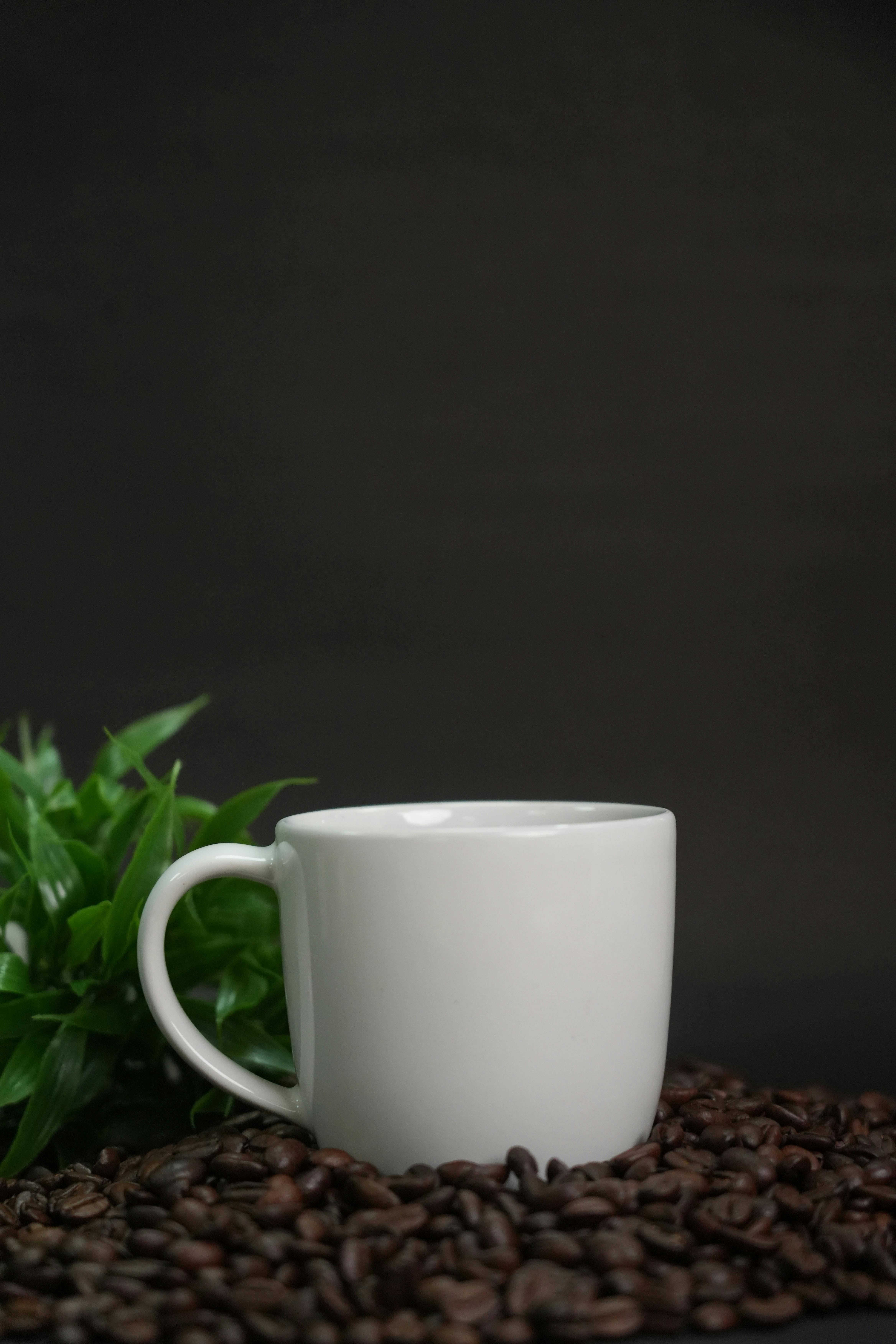 Coffee Beans Backgrounds Photos, Download The BEST Free Coffee Beans ...