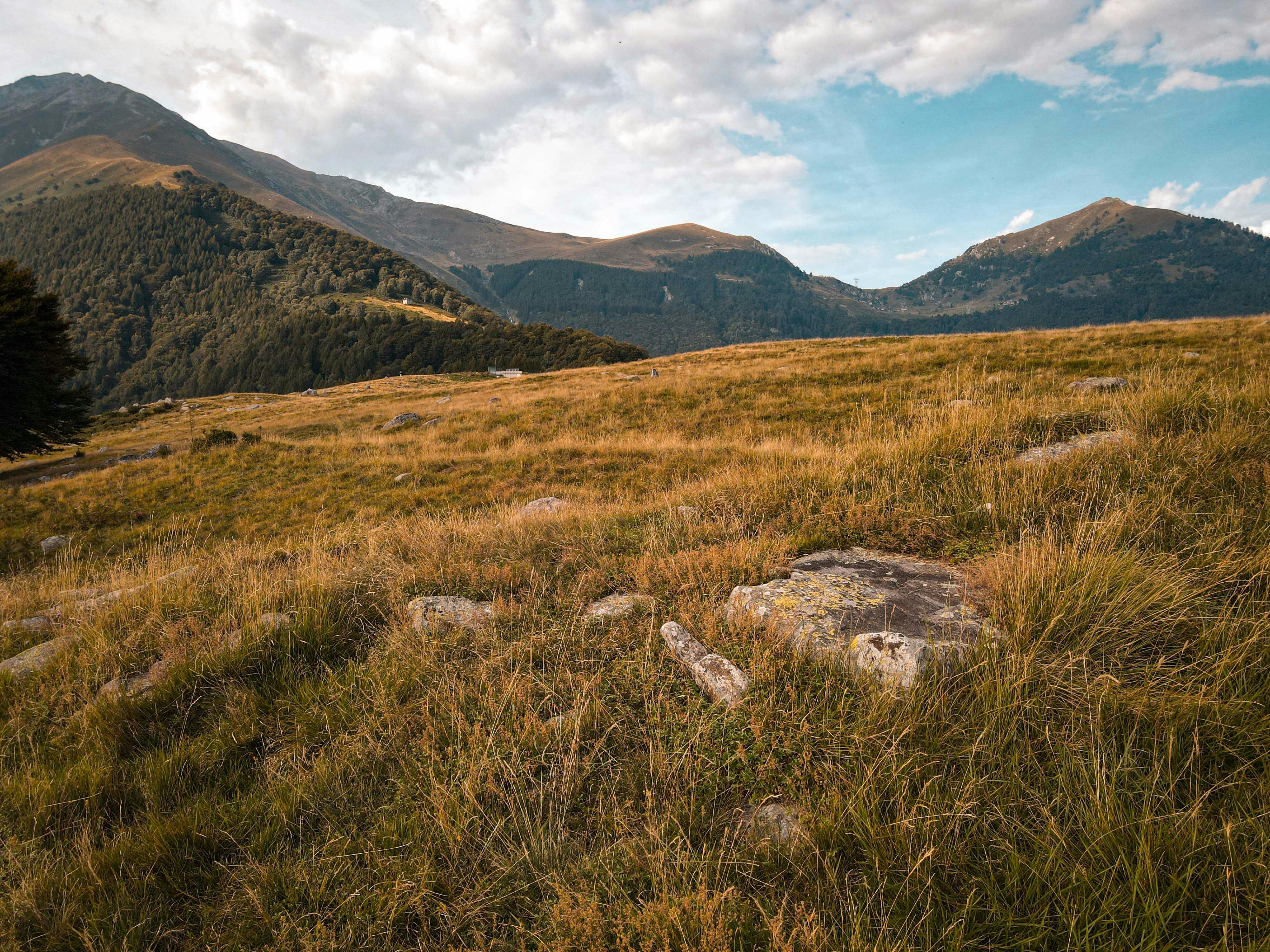 Power Bi Wallpaper Photos, Download The BEST Free Power Bi Wallpaper ...