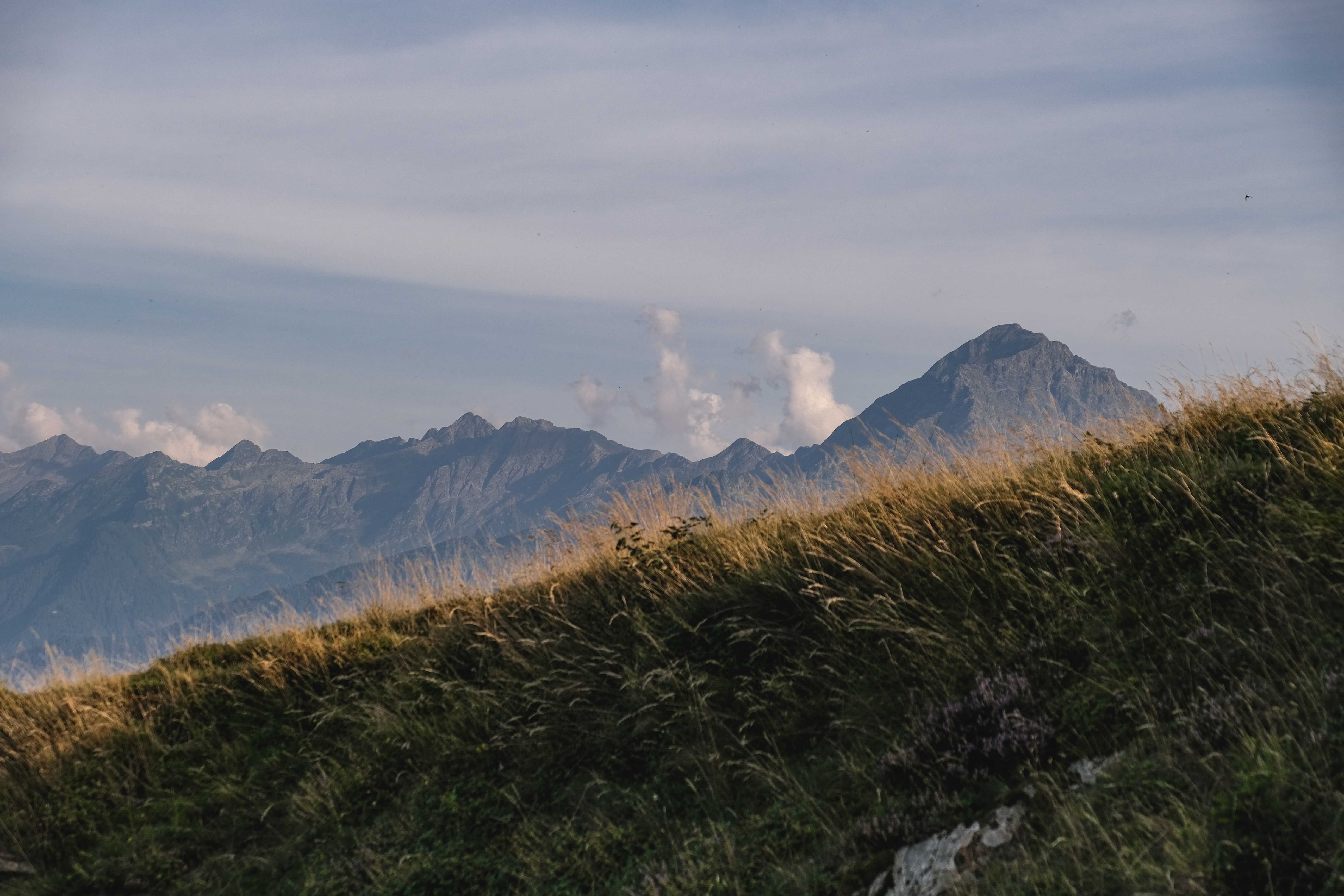 Close-up of Grass on the Hill and a Mountain Range in the Distance ...