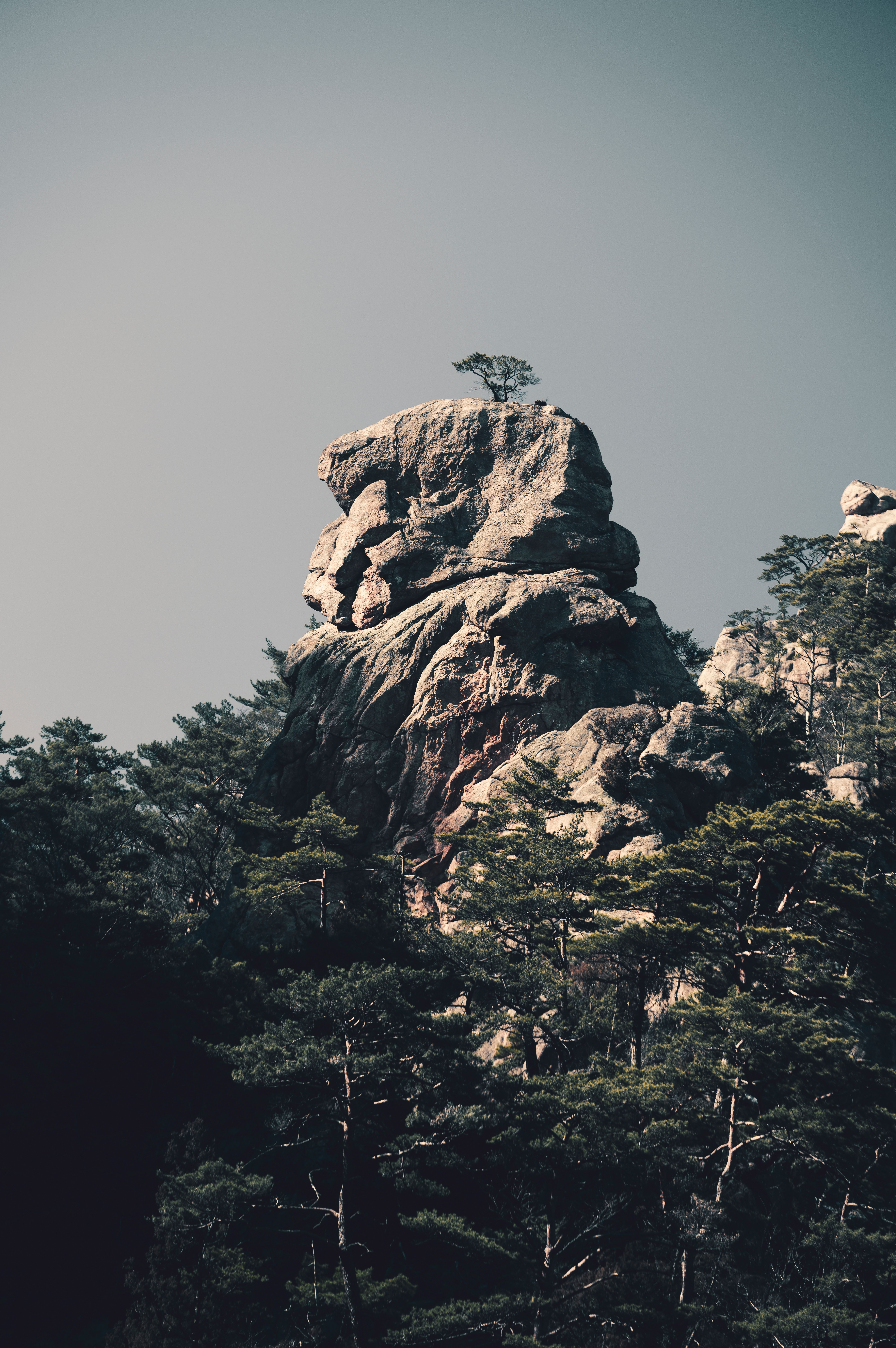 Rock Formation and Trees on the Mountain Slope · Free Stock Photo