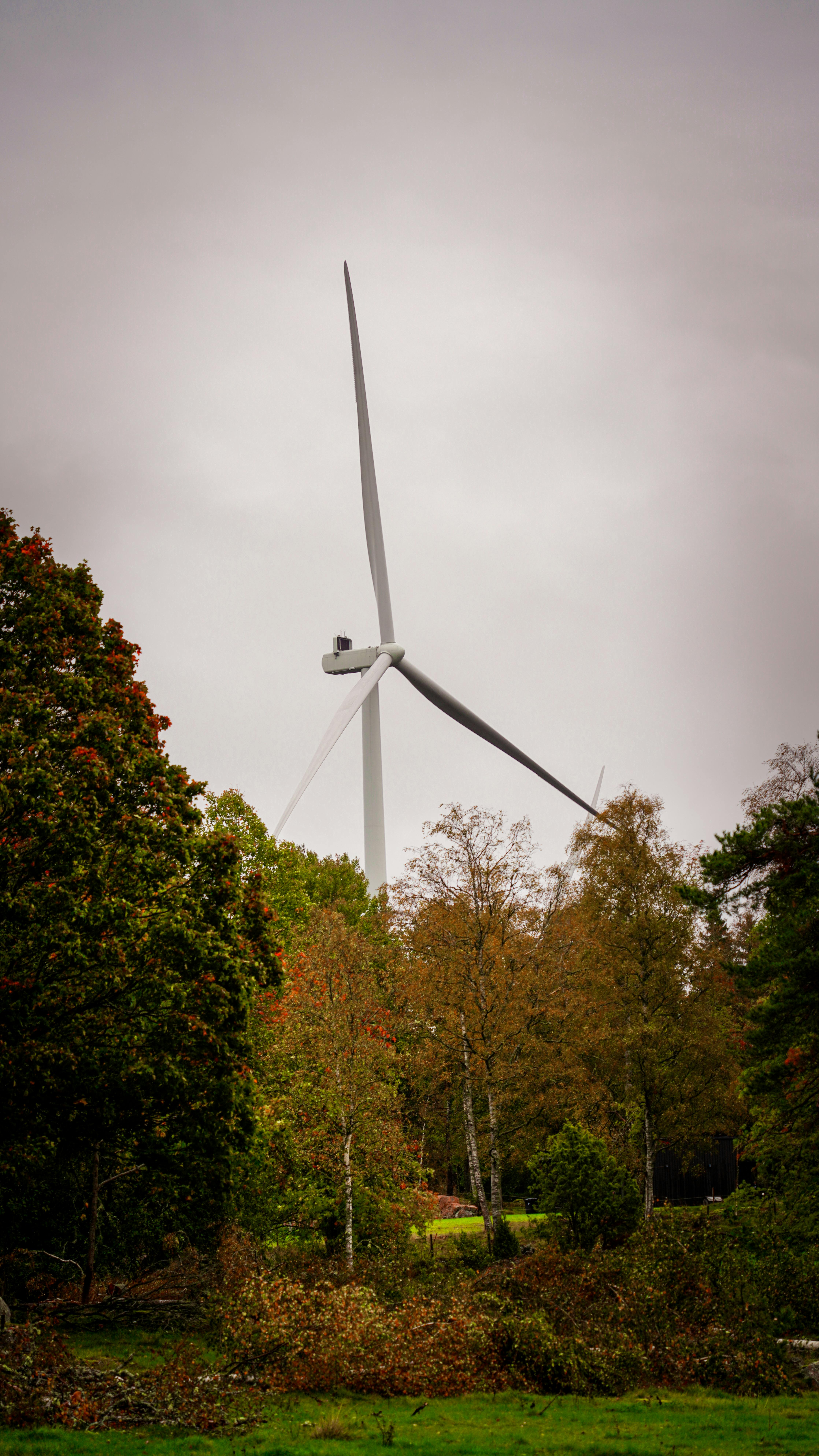 Wind Turbine behind Forest Trees · Free Stock Photo