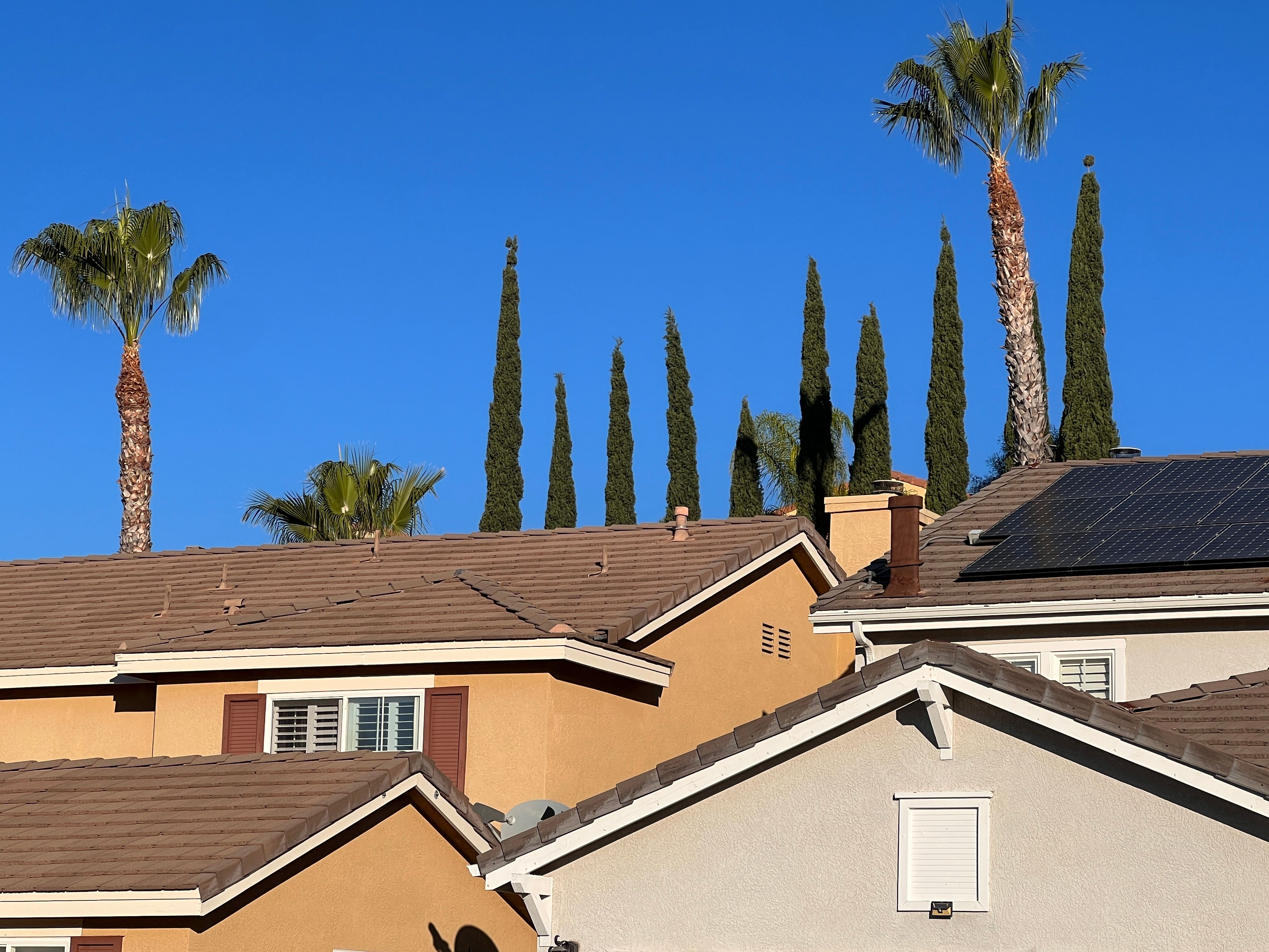 Palm Trees and Roofs of Buildings in Town · Free Stock Photo
