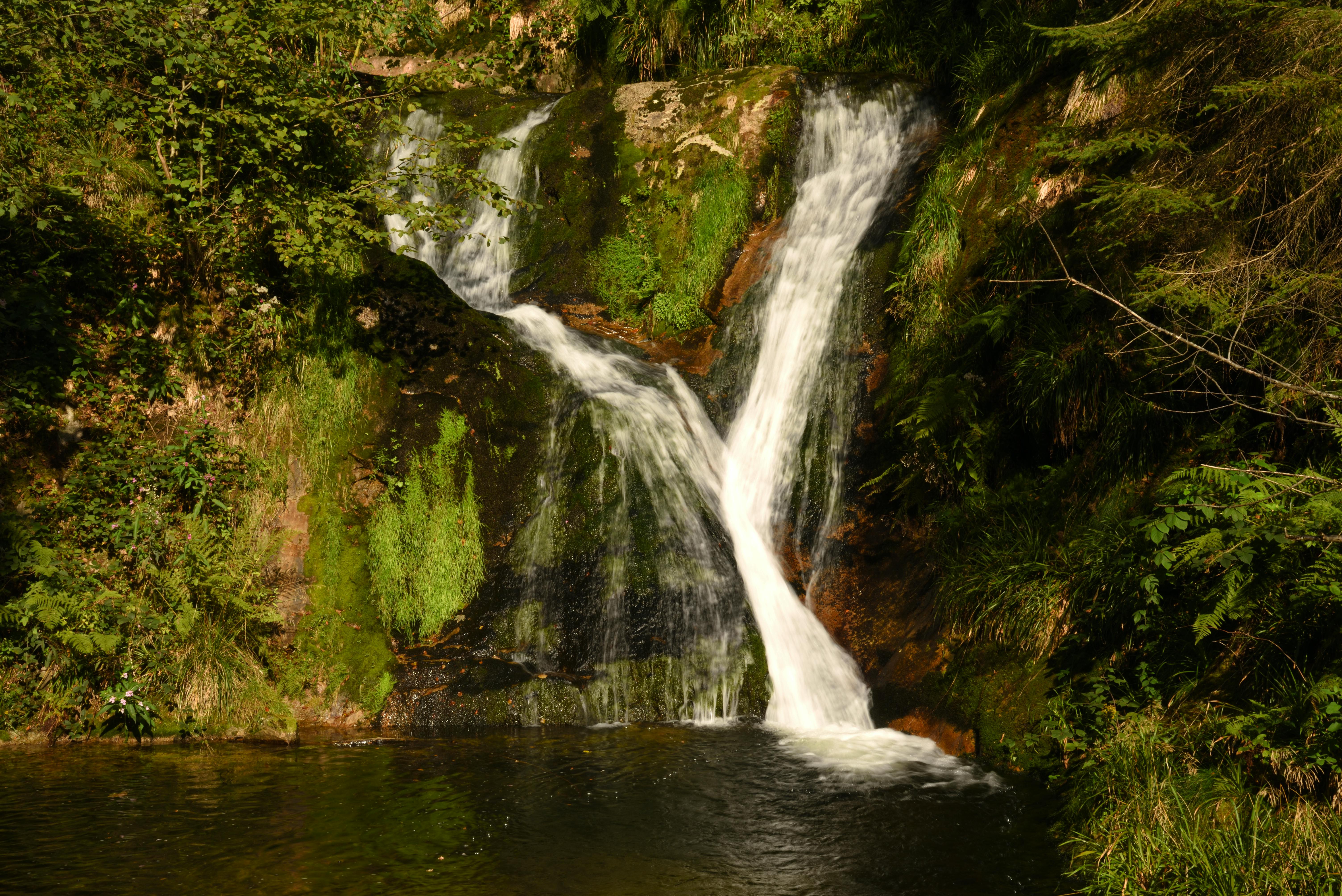 All Encompassing Photos, Download The BEST Free All Encompassing Stock ...