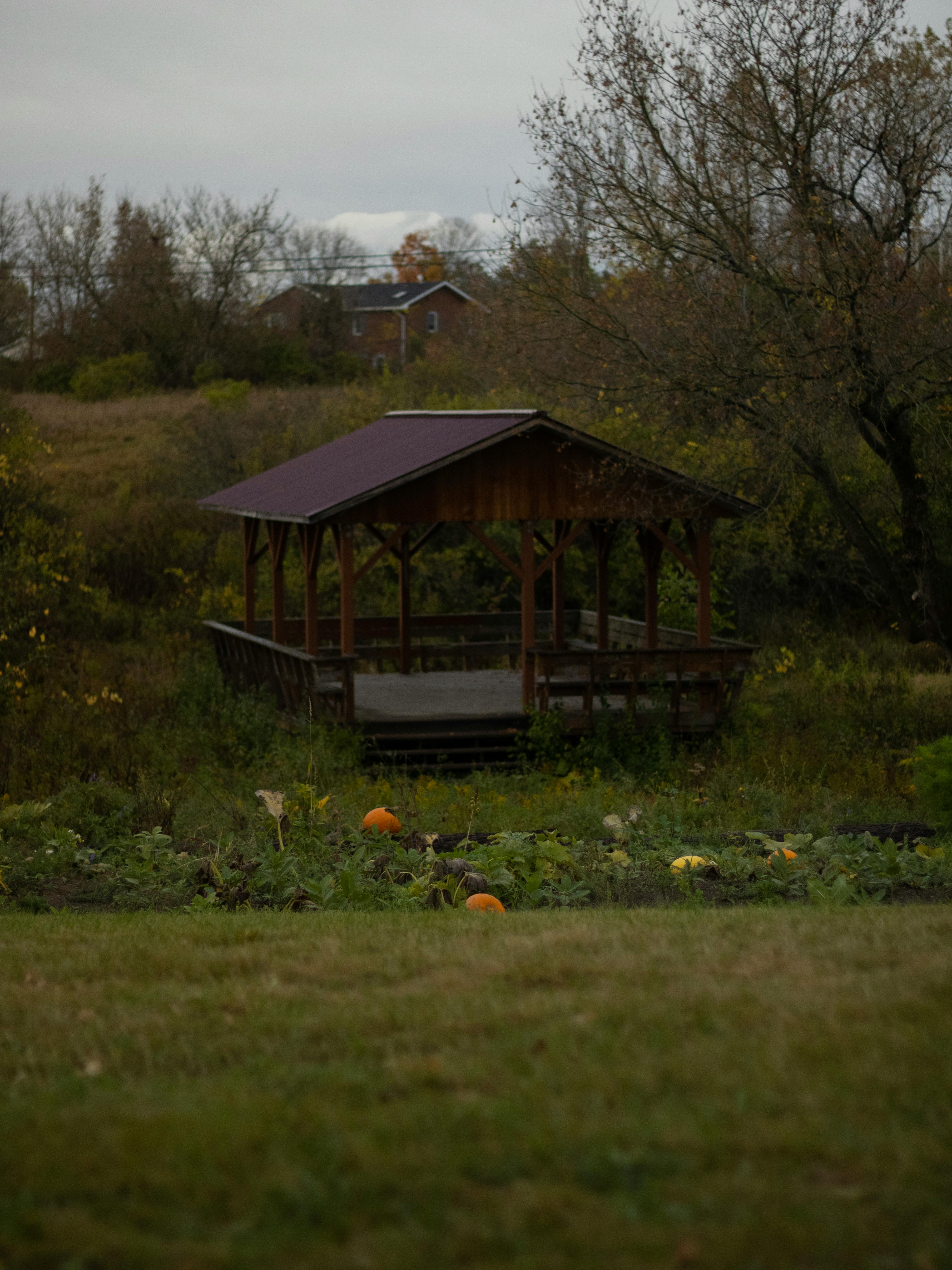Farm Field Photos, Download The BEST Free Farm Field Stock Photos & HD ...