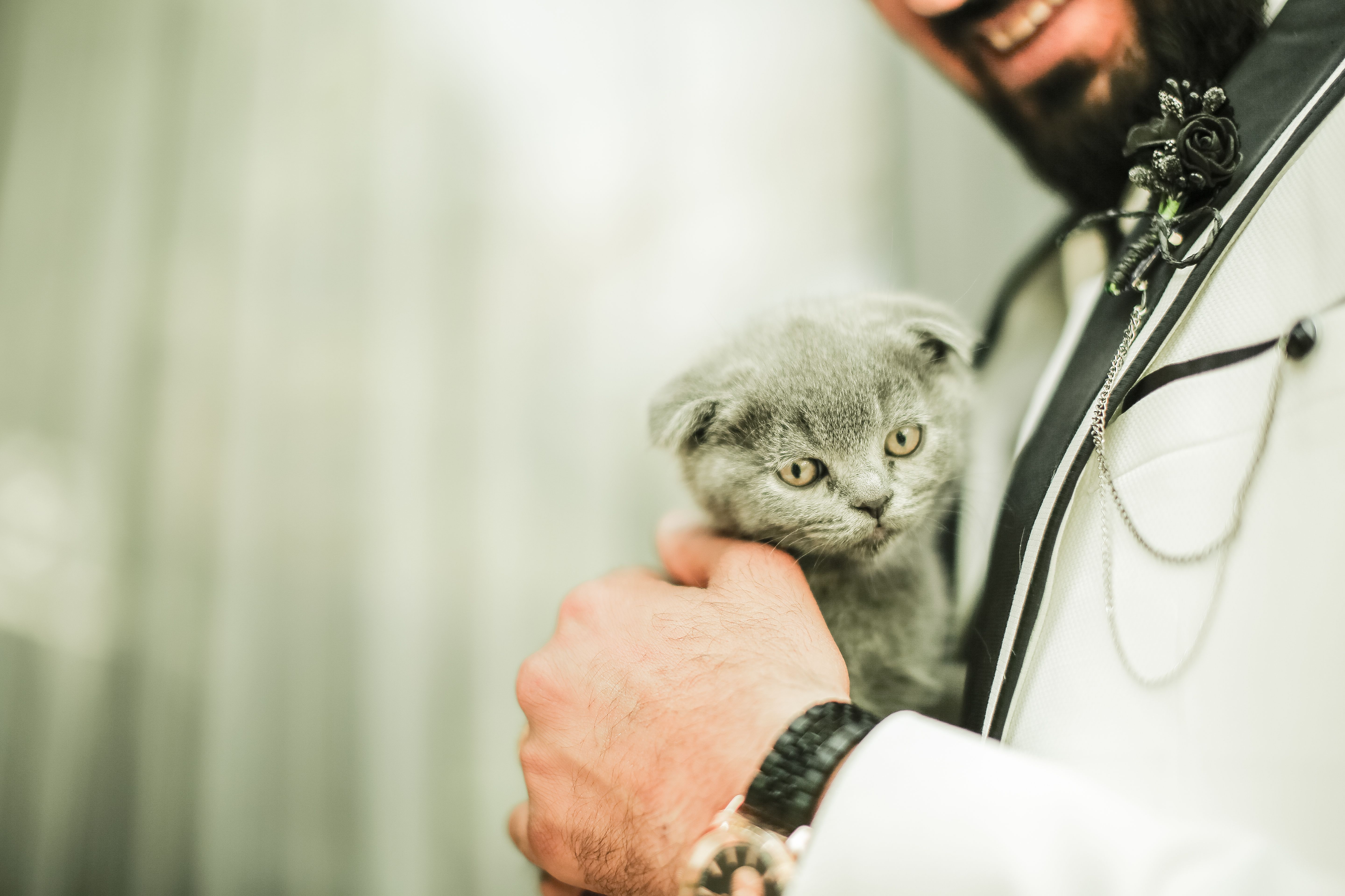 Man And Kitten Photos, Download The BEST Free Man And Kitten Stock ...