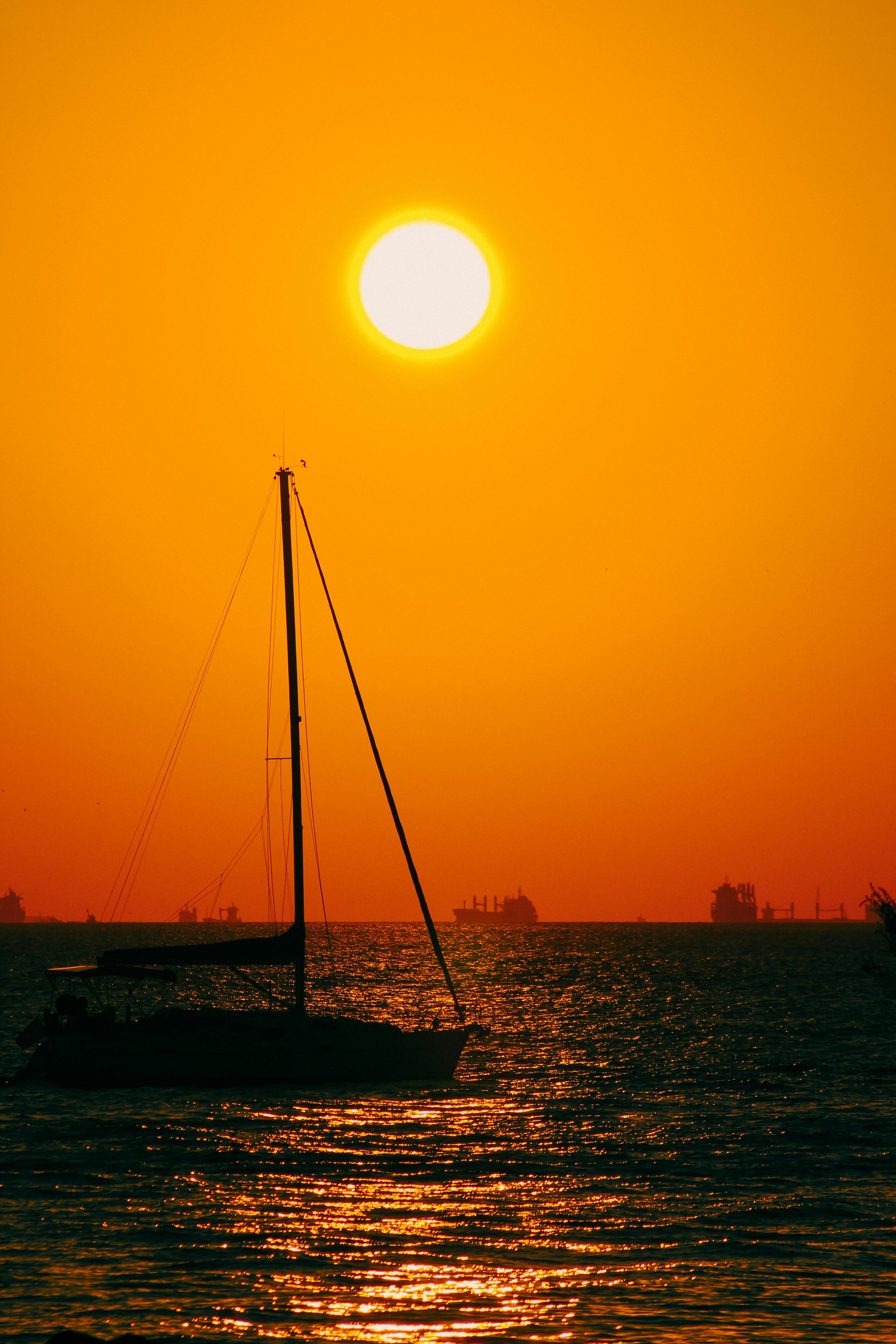 Samet Dikmen - 写真