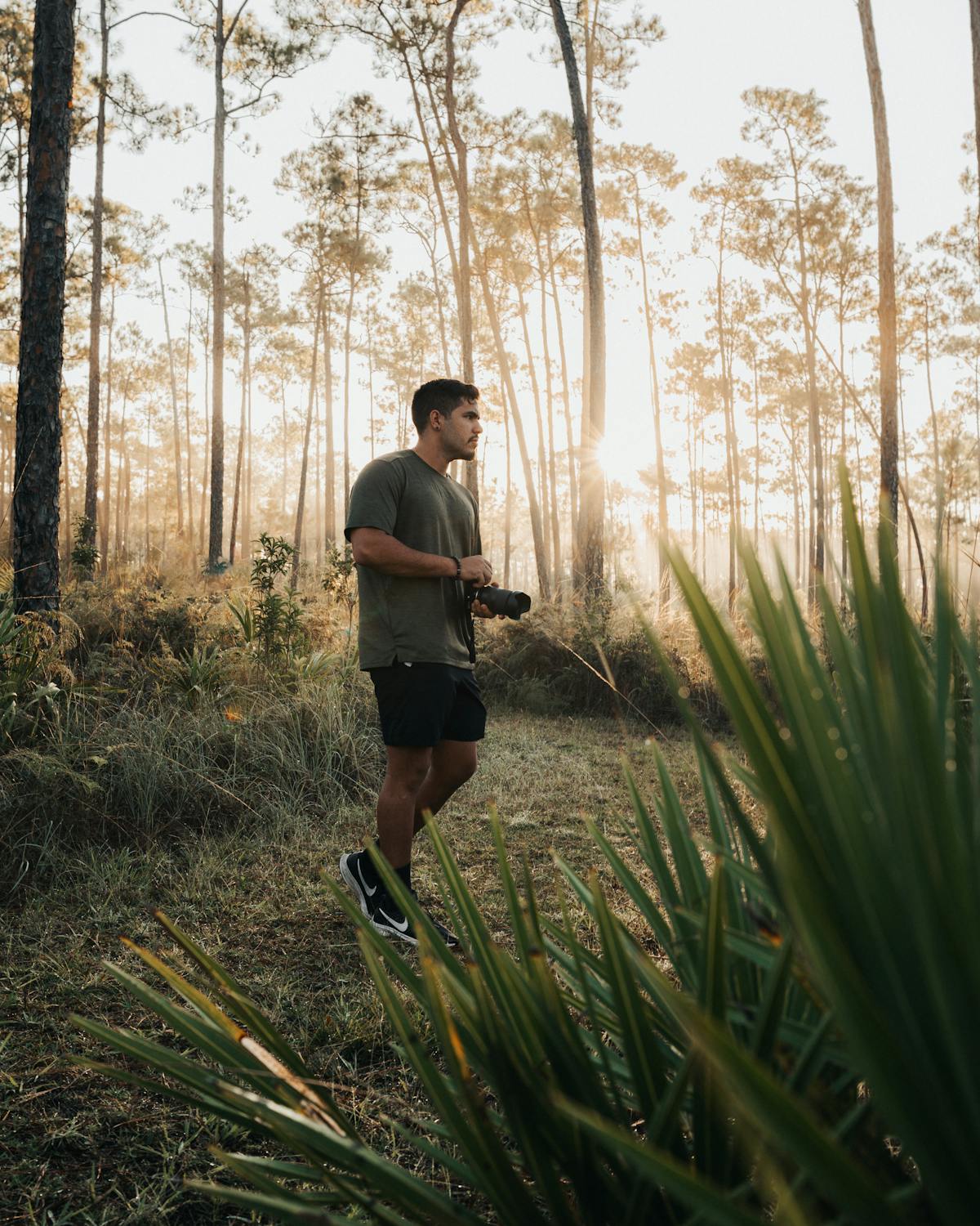 Camera Forest Photos, Download The BEST Free Camera Forest Stock Photos ...