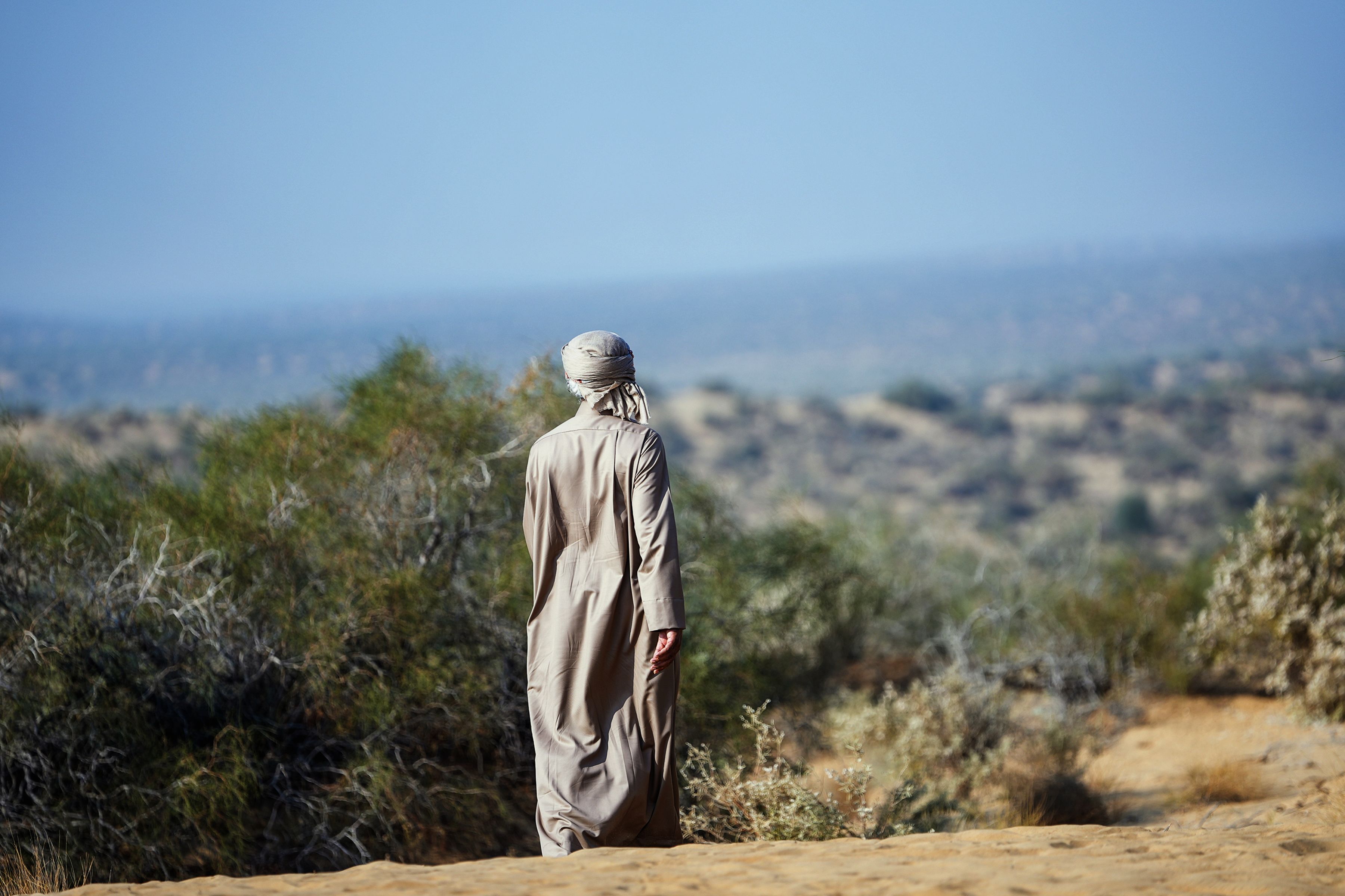 Person in Traditional Clothing Walking towards Bushes · Free Stock Photo