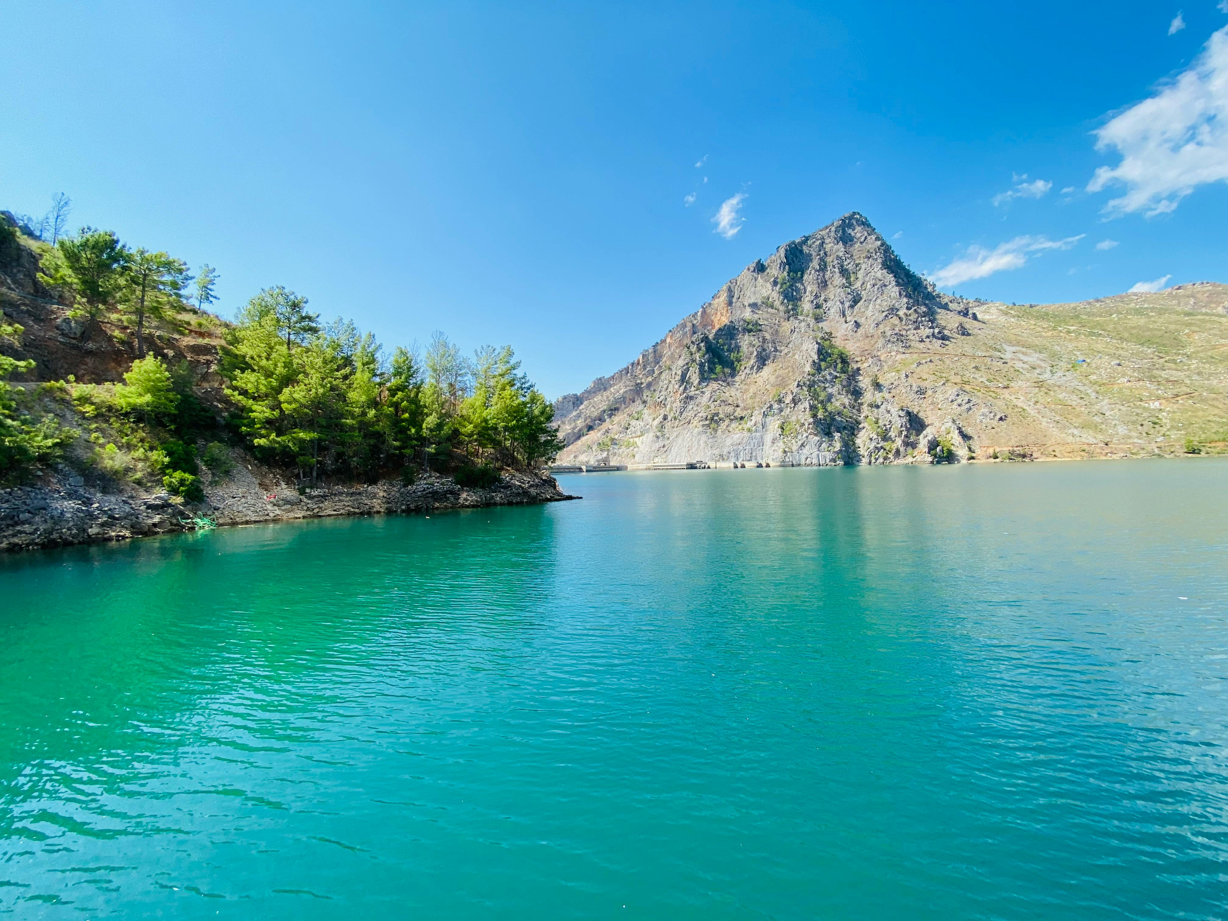 Mihaela David – Fotografia