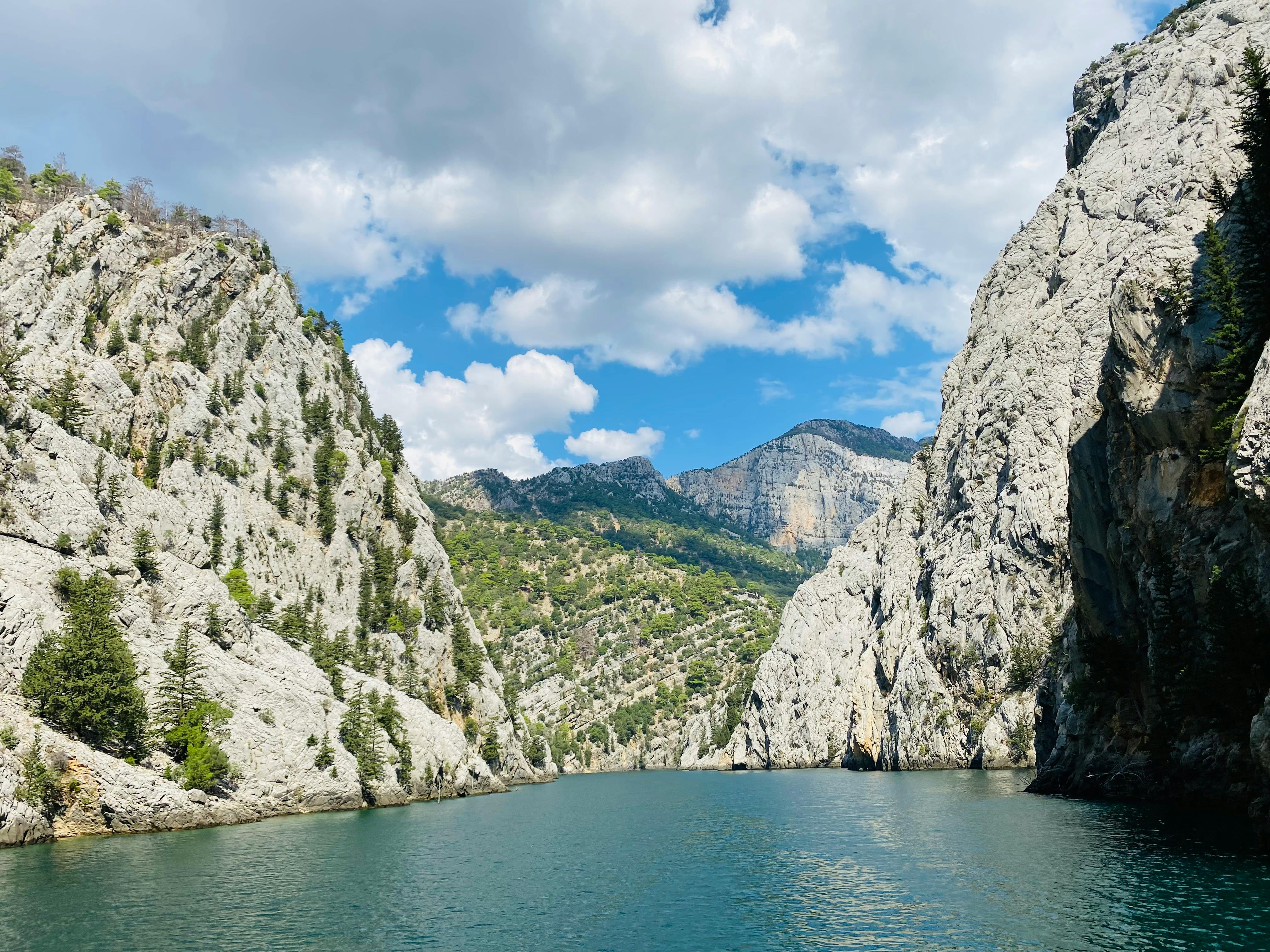 Mihaela David - Fotografía