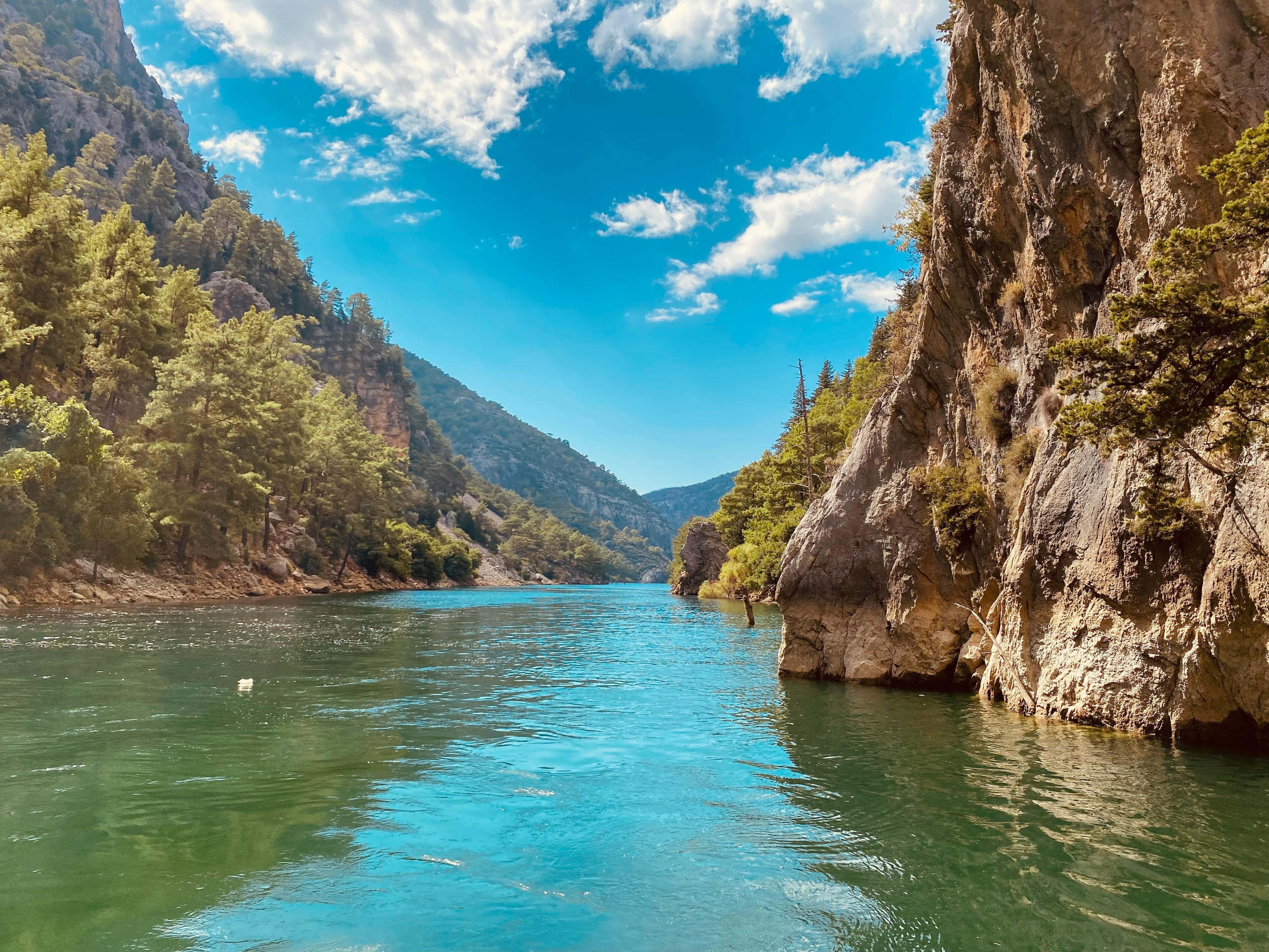 Mihaela David – Fotografia