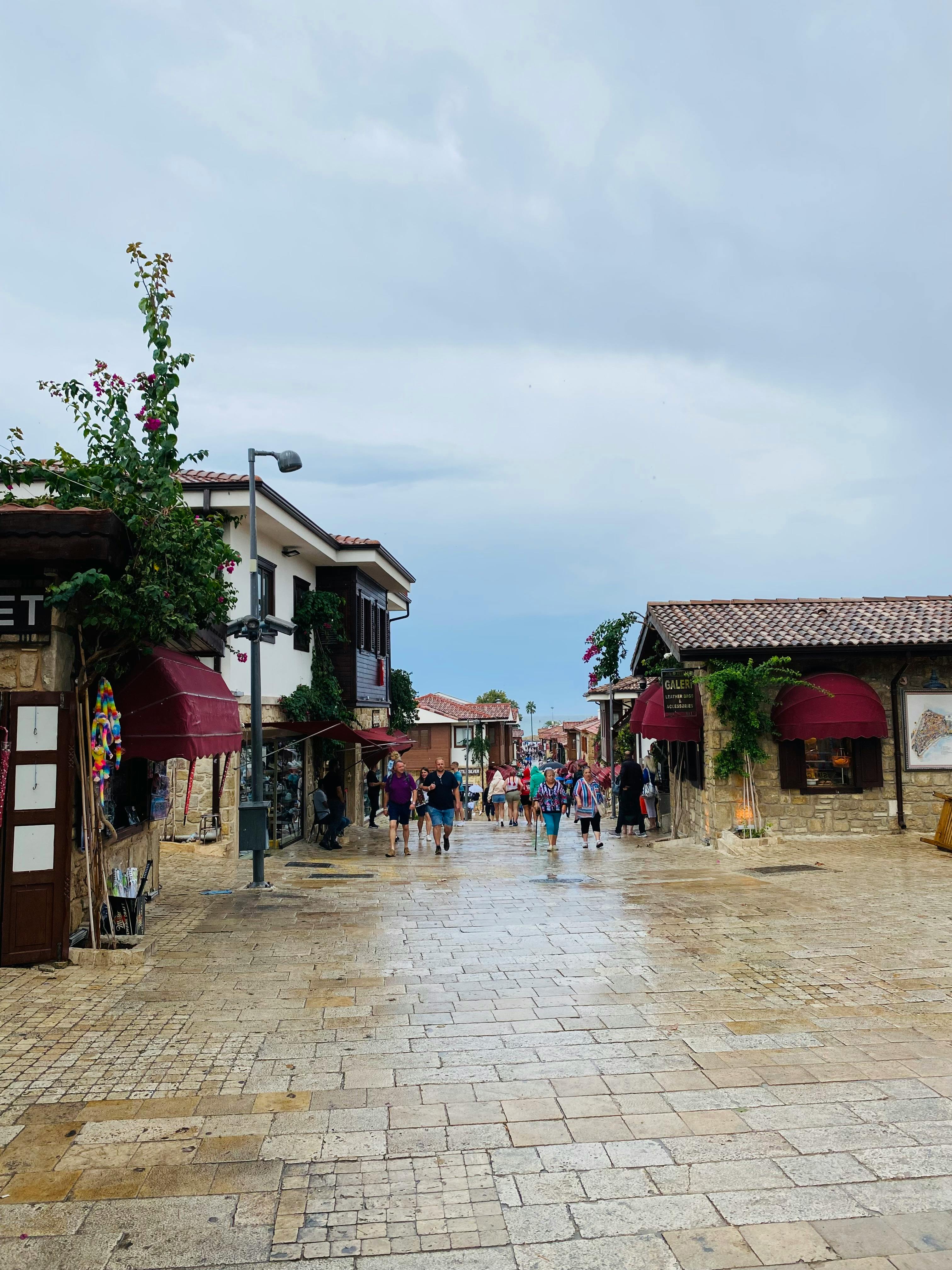 Mihaela David – Fotografia