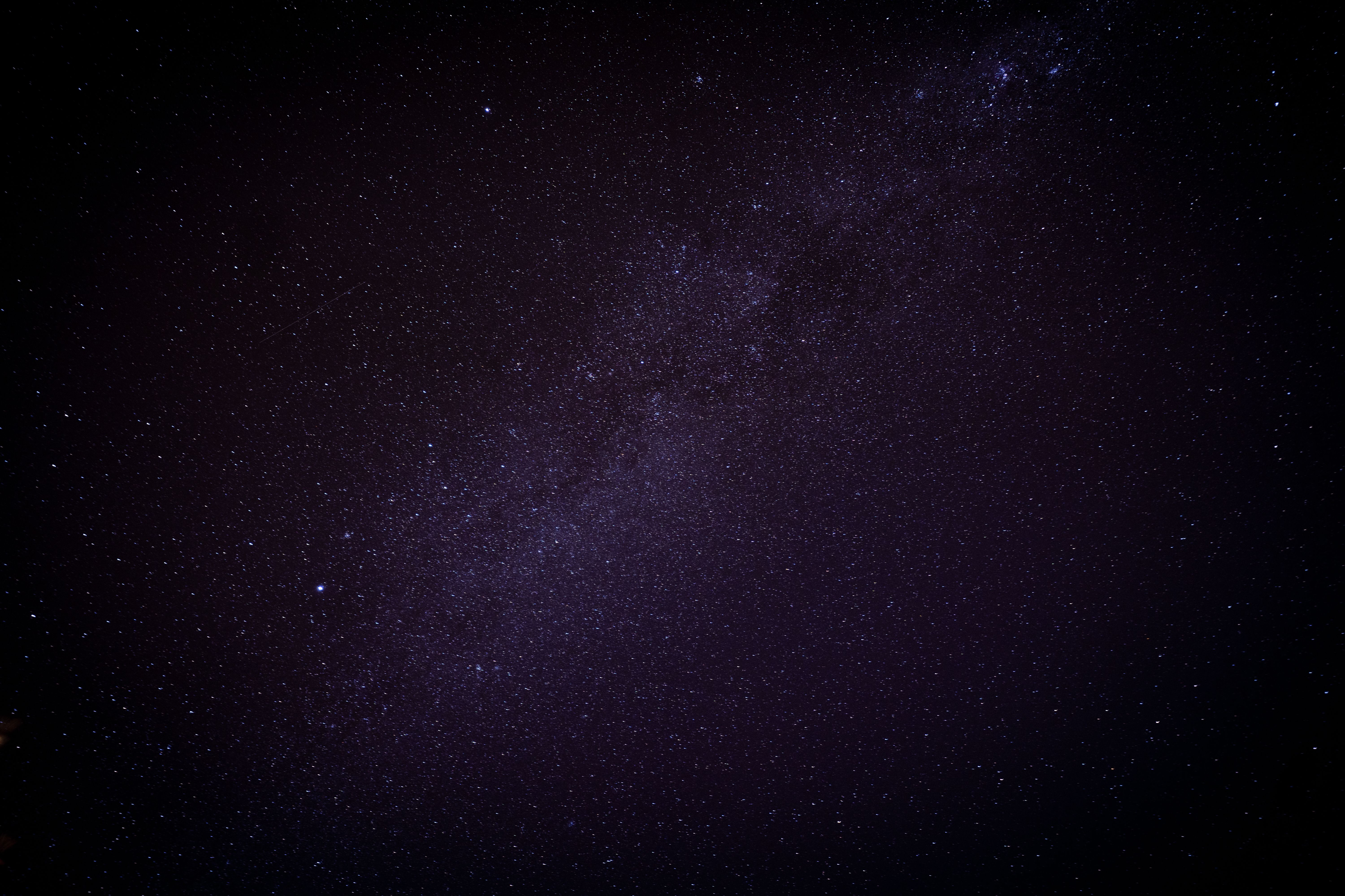 Cosmos 14 Inch Photos, Download The BEST Free Cosmos 14 Inch Stock ...