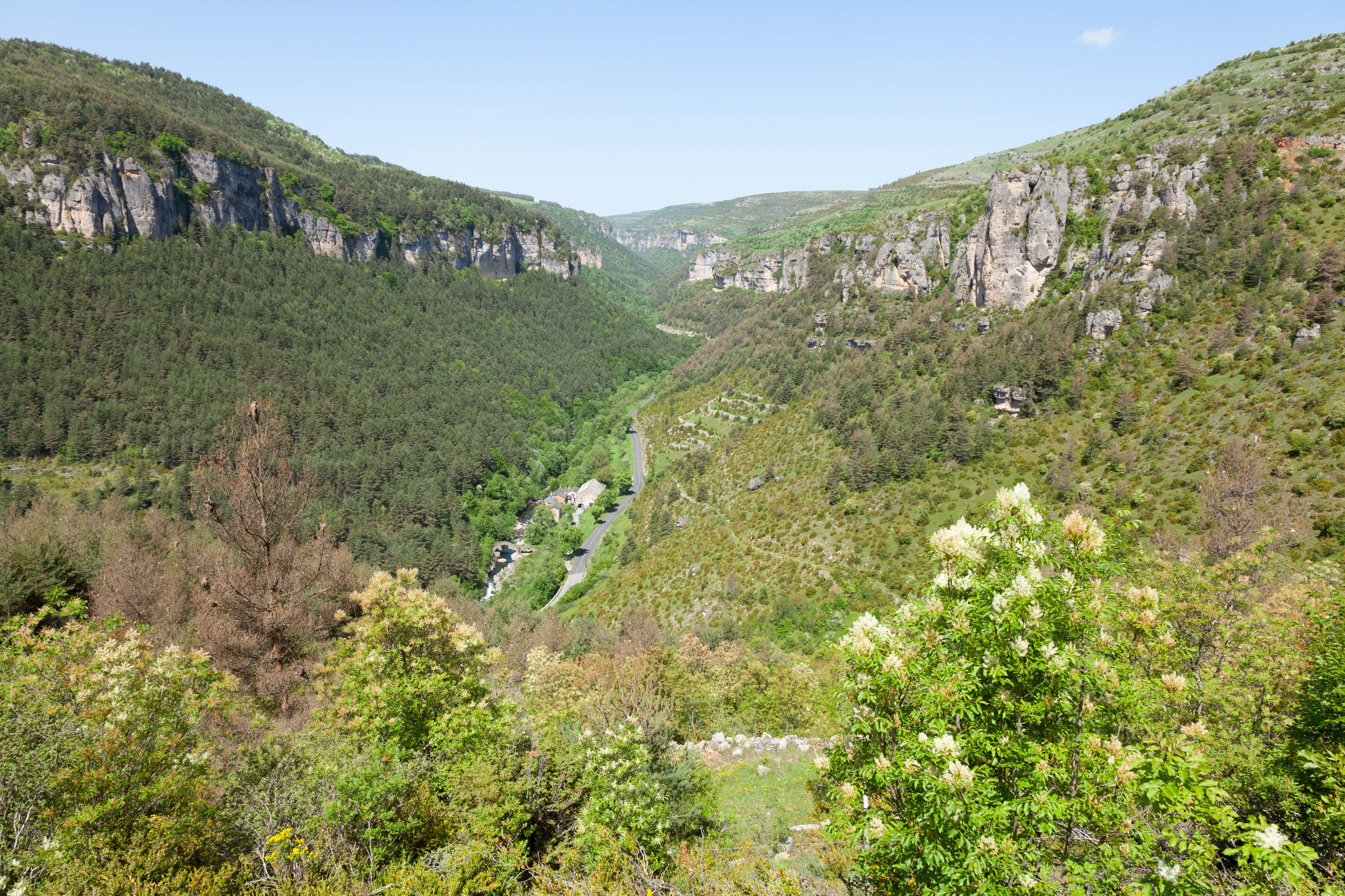 A view of a valley with trees and mountains · Free Stock Photo