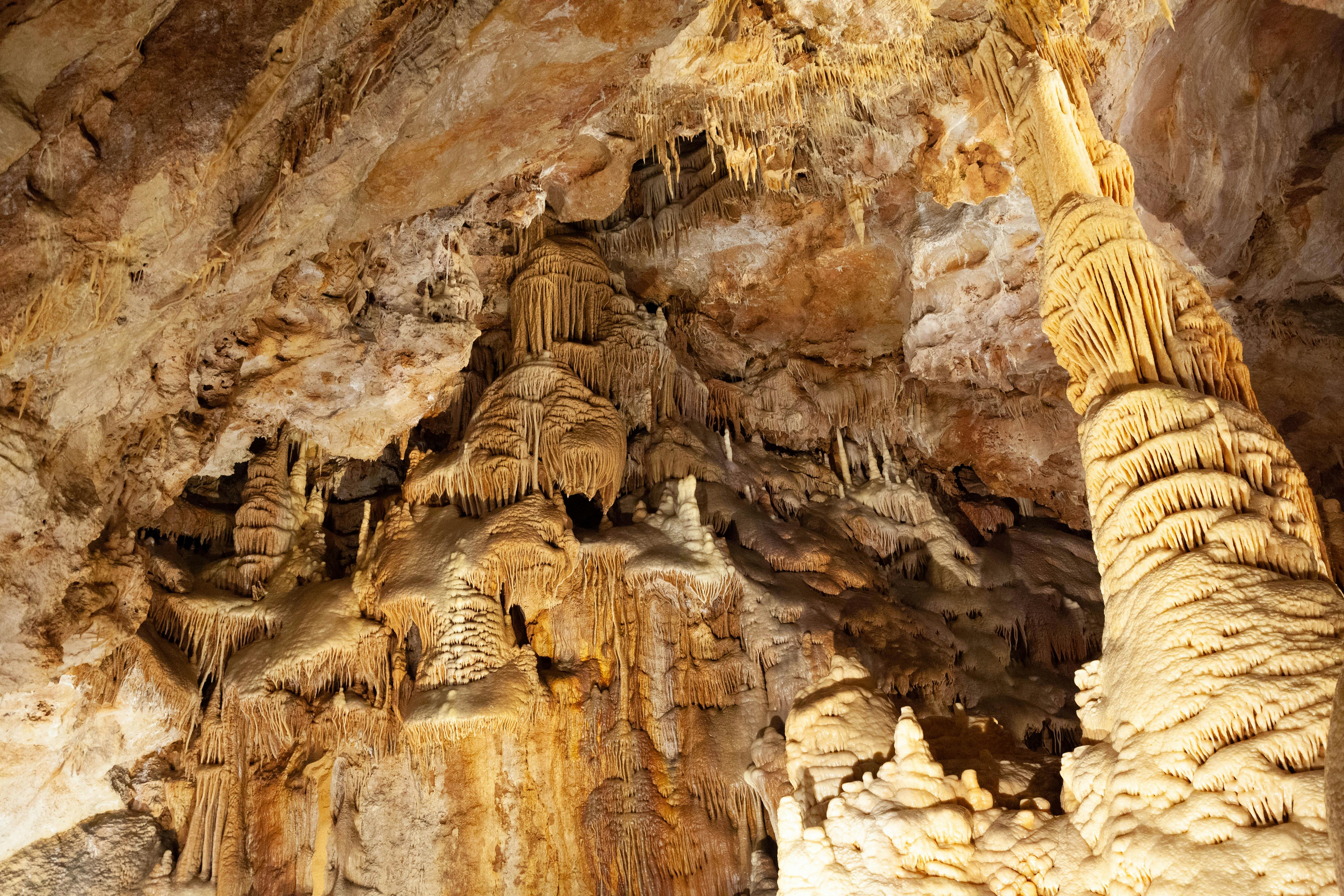 The inside of a cave with many tall columns · Free Stock Photo