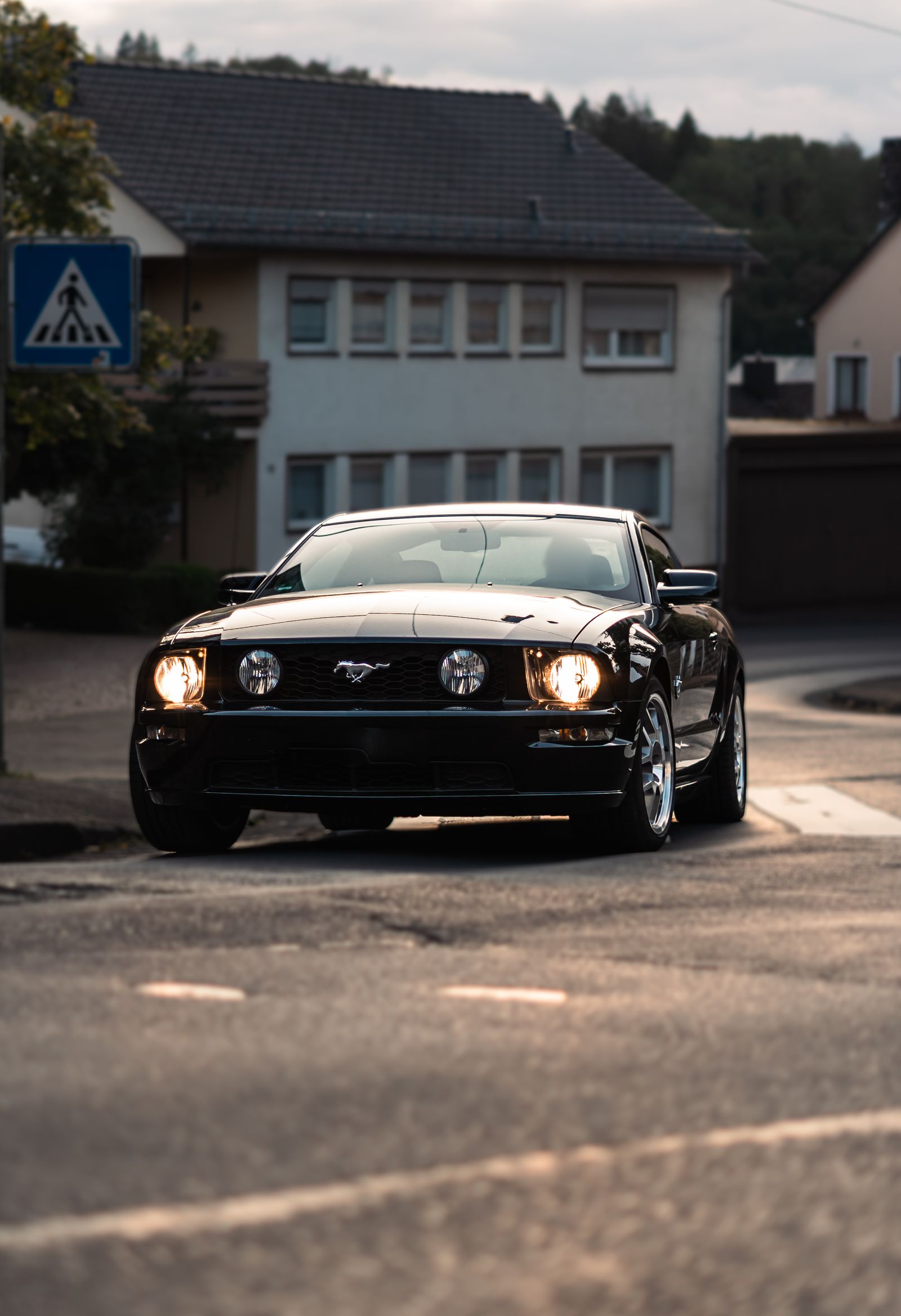 Black Mustang Photos, Download The BEST Free Black Mustang Stock Photos ...