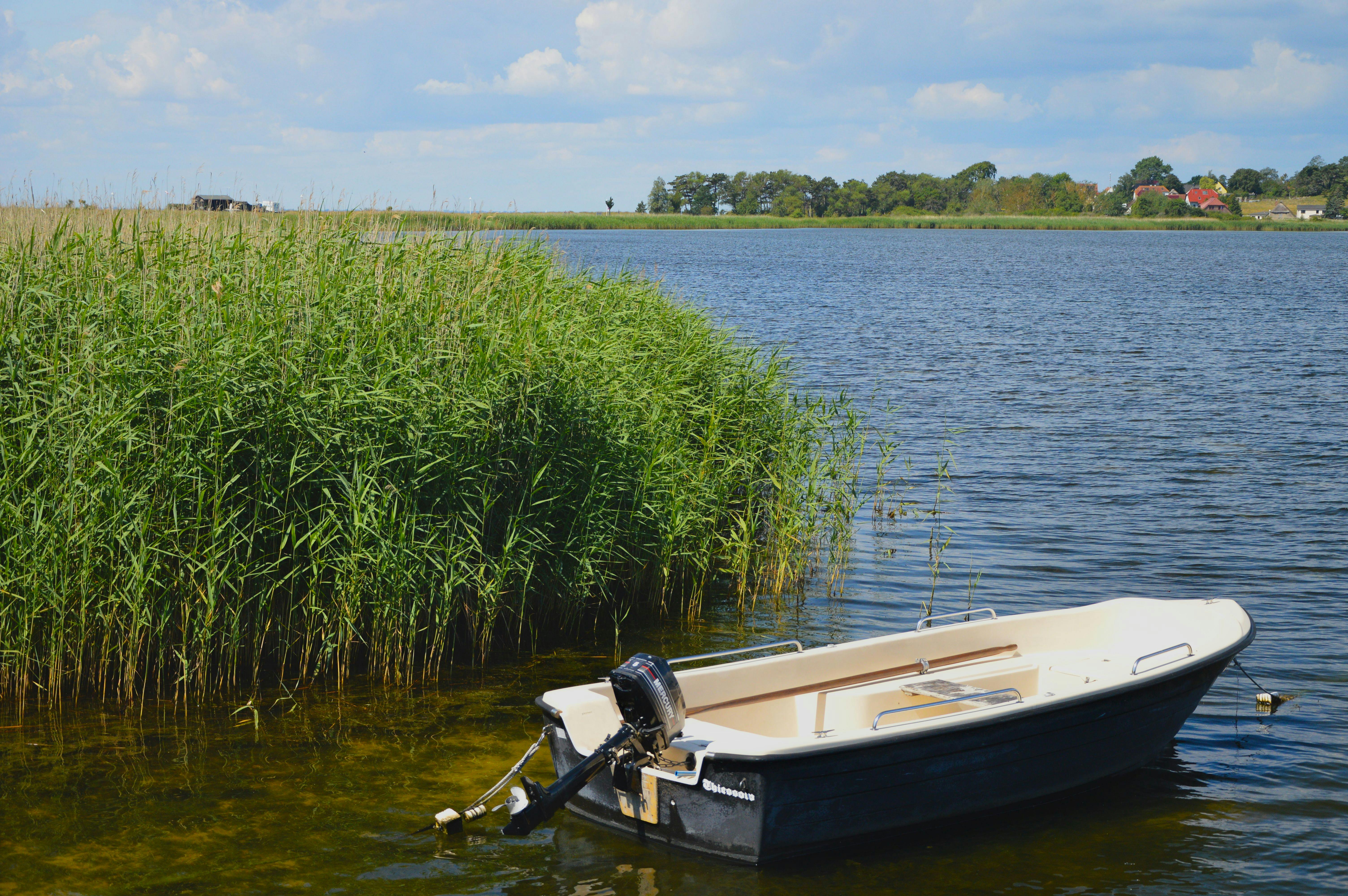 Empty Motorboat on Lakeshore · Free Stock Photo