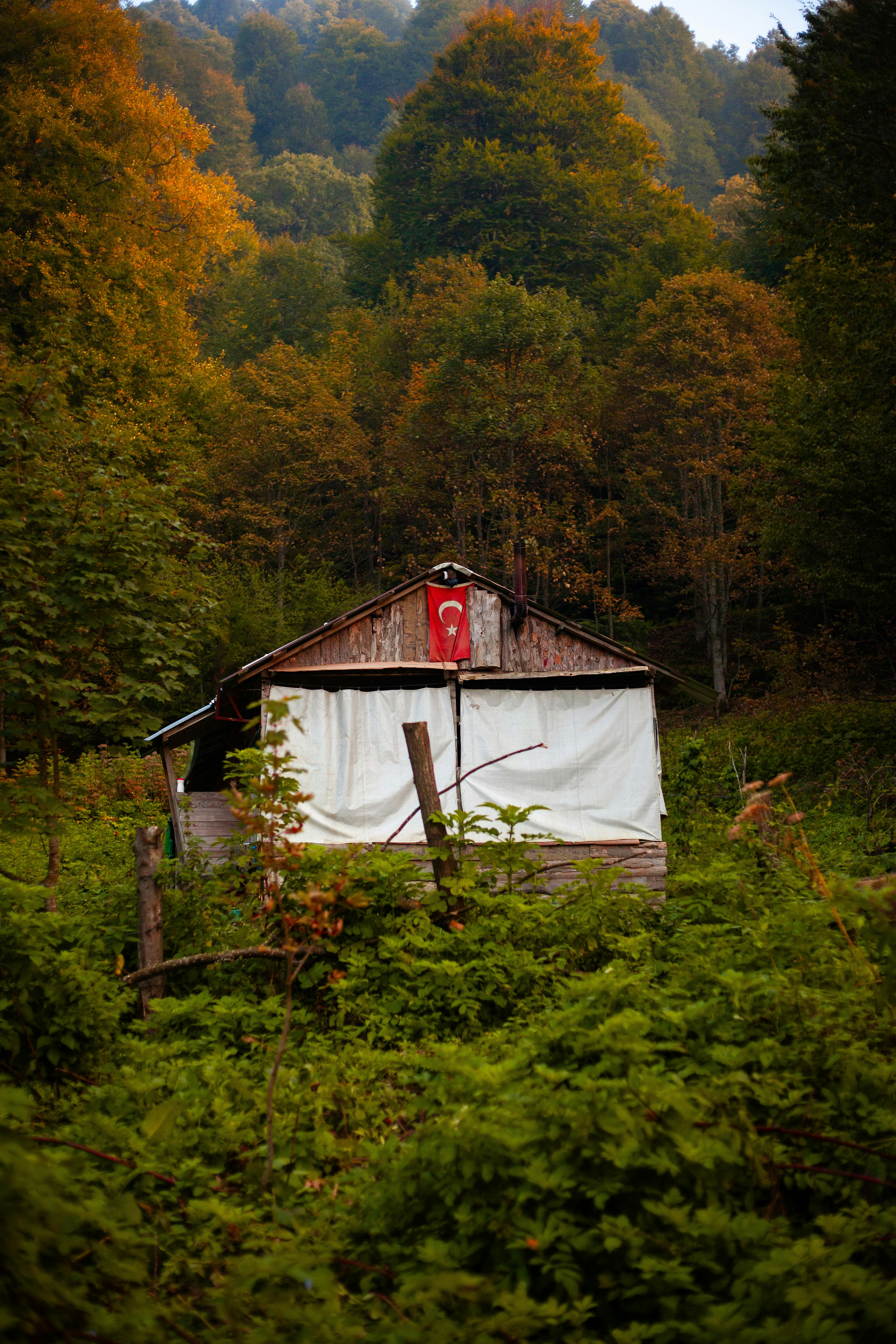 Wooden, Secluded House in Forest in Turkey · Free Stock Photo