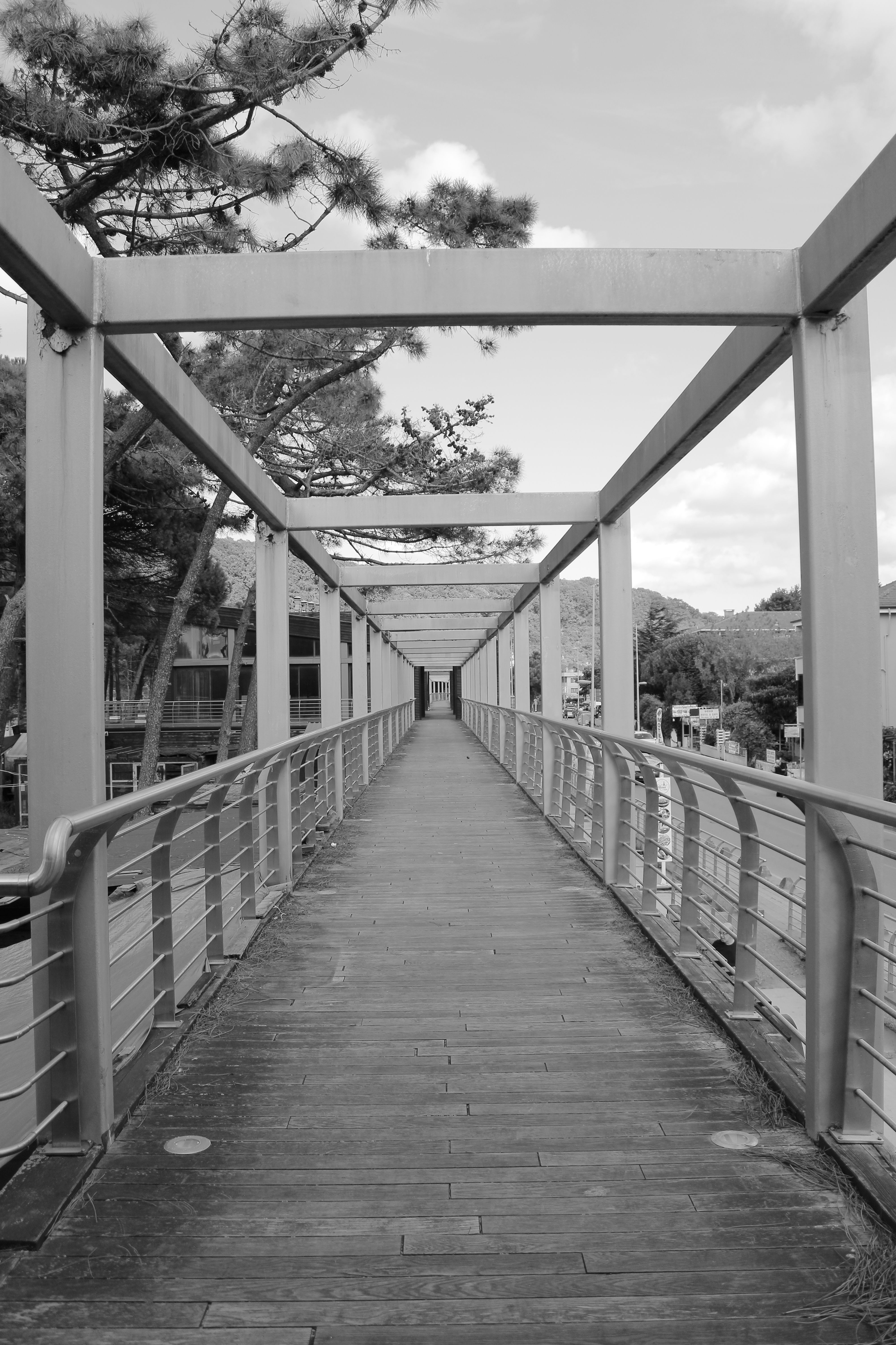 Footbridge with Beams and Wooden Pavement · Free Stock Photo