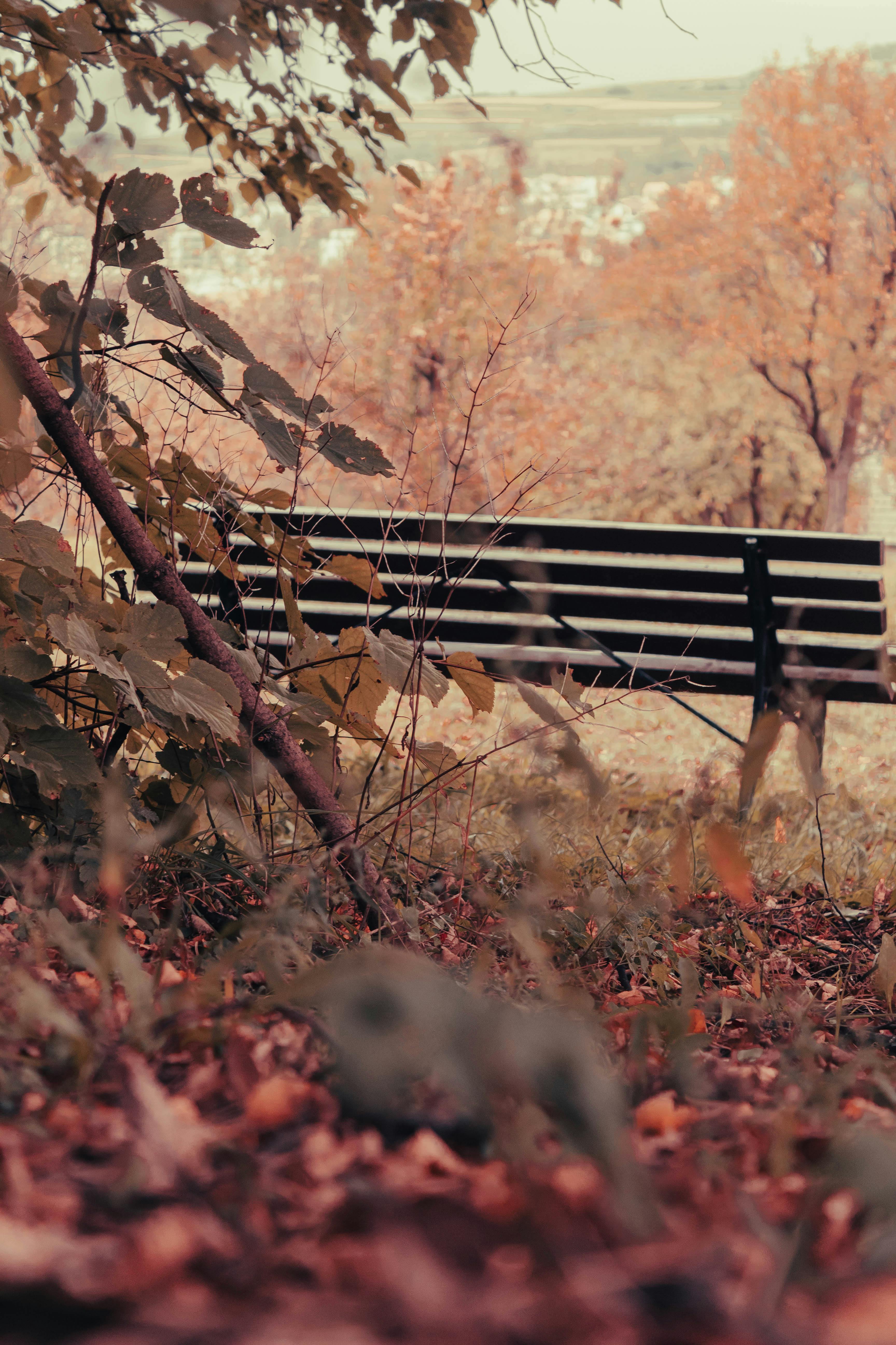 Silence · Free Stock Photo