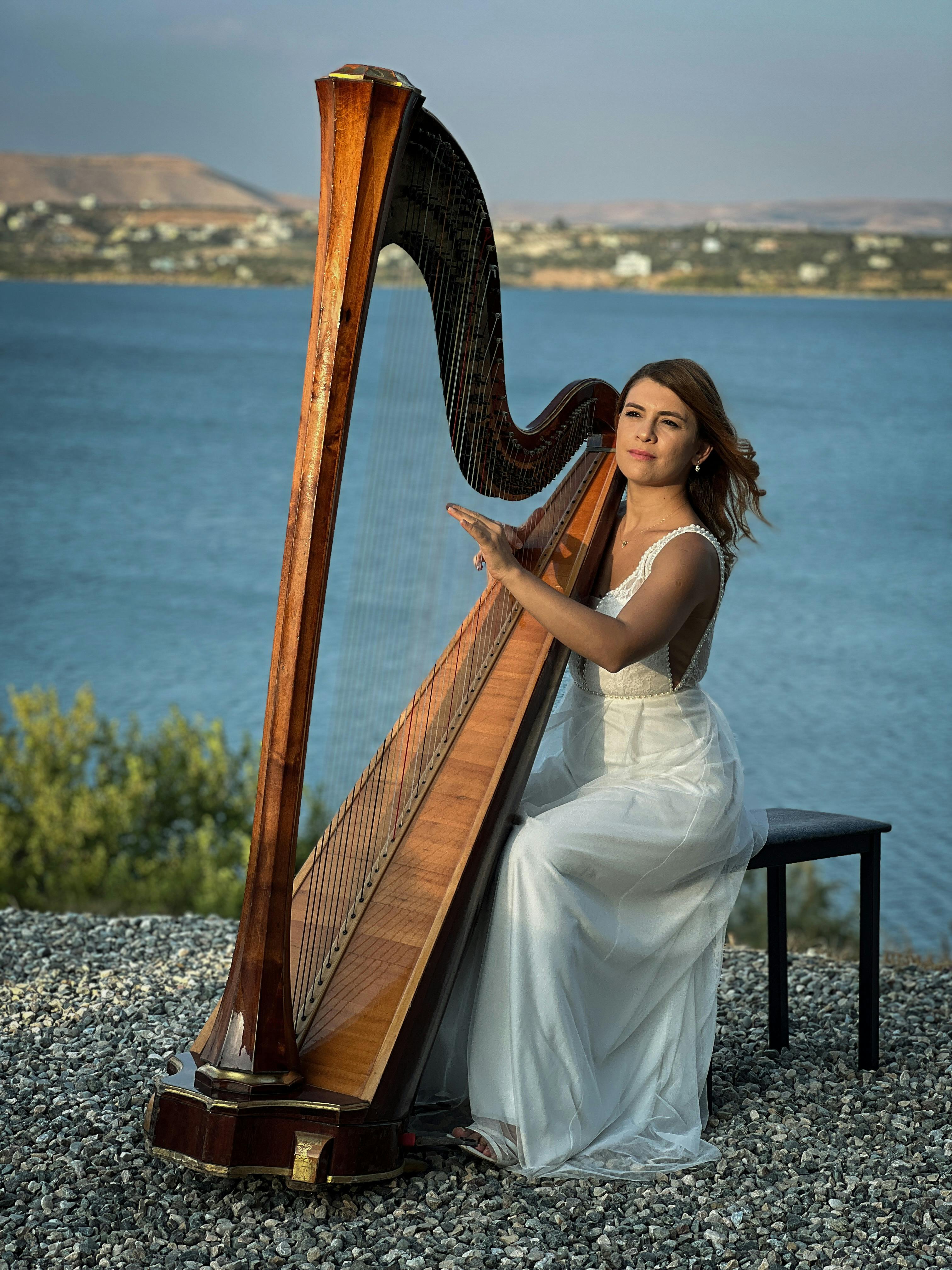 Harp Photos, Download The BEST Free Harp Stock Photos & HD Images