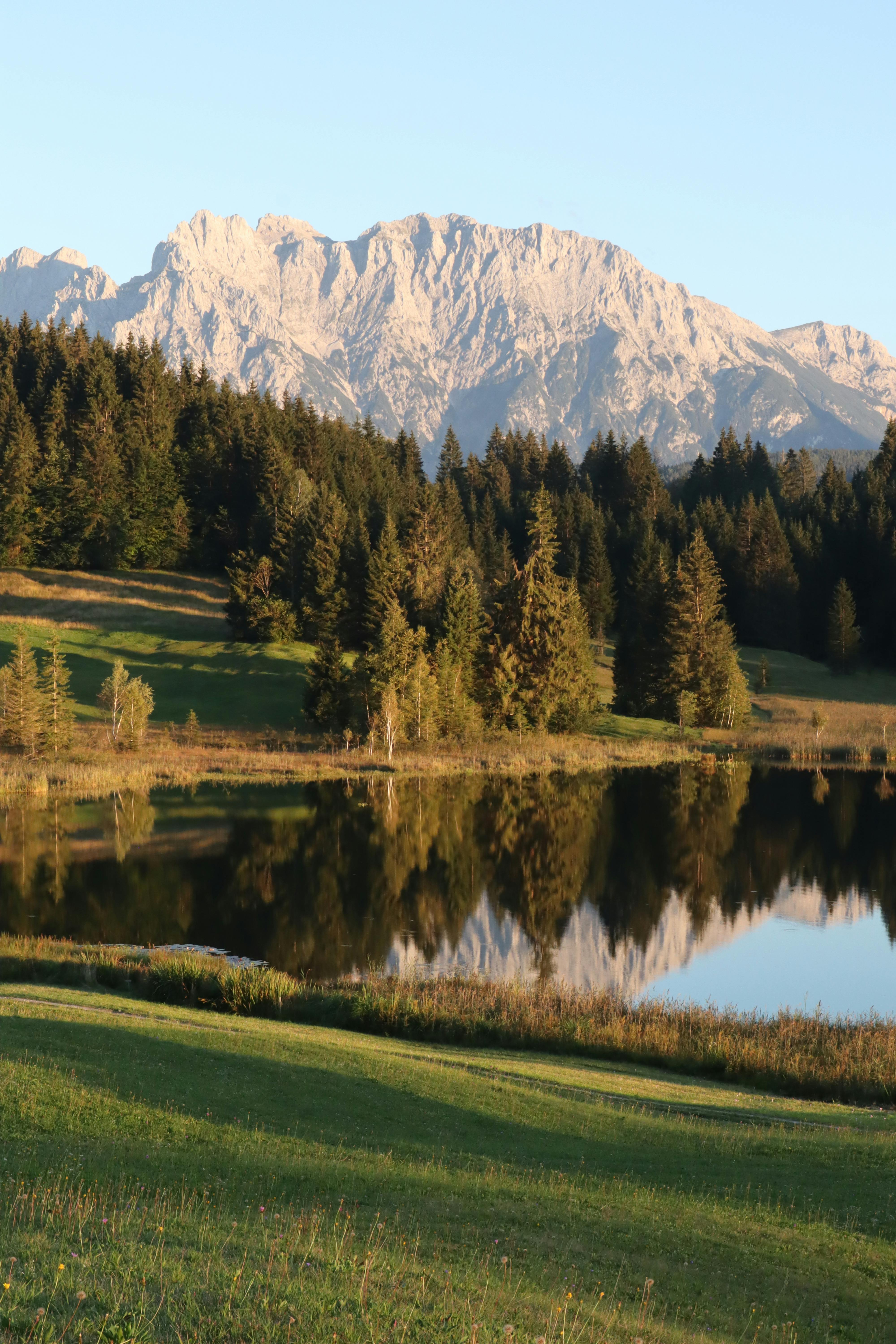 Moral Purity Photos, Download The BEST Free Moral Purity Stock Photos ...