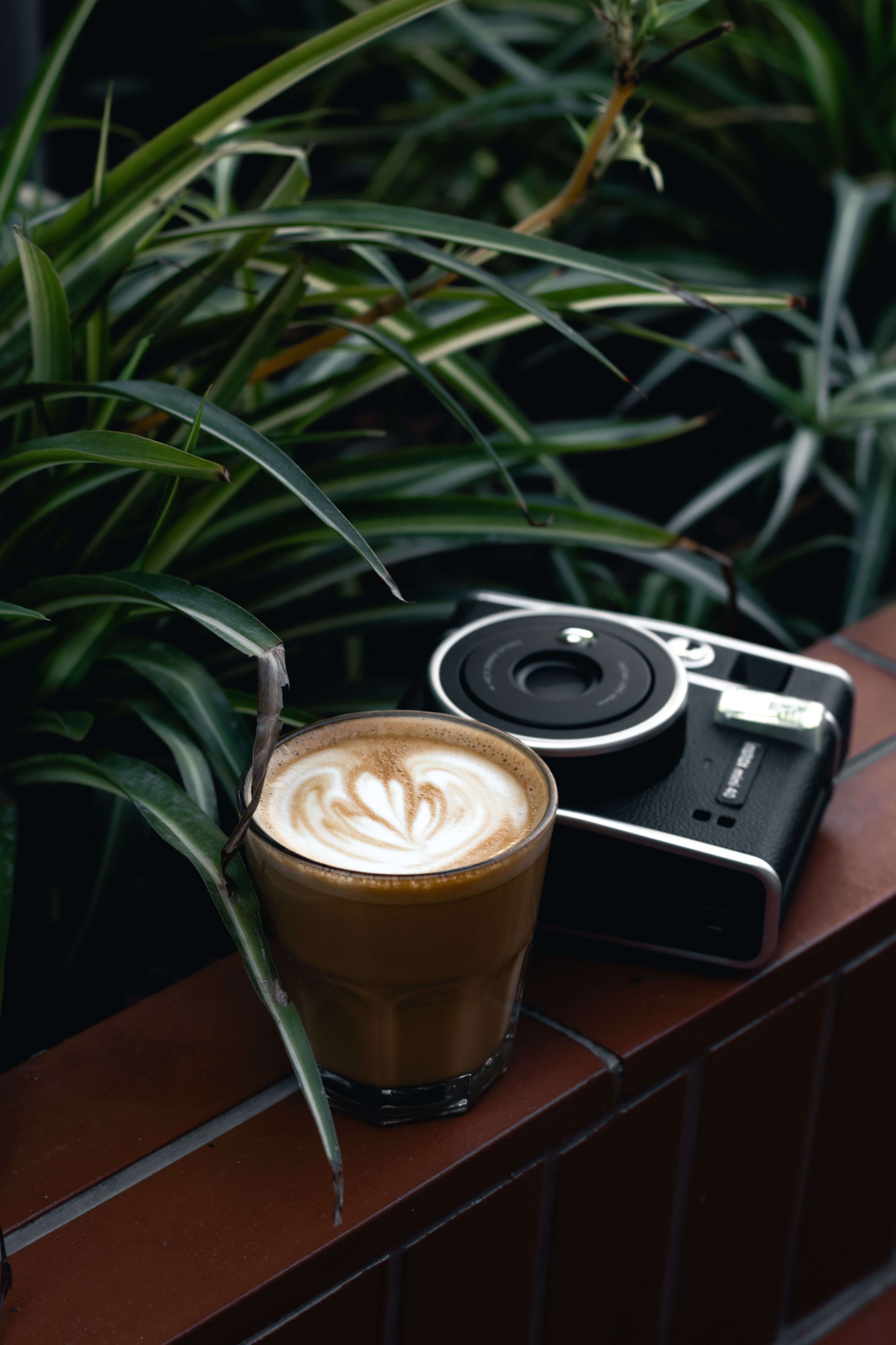 Eritrean Coffee Photos, Download The BEST Free Eritrean Coffee Stock ...