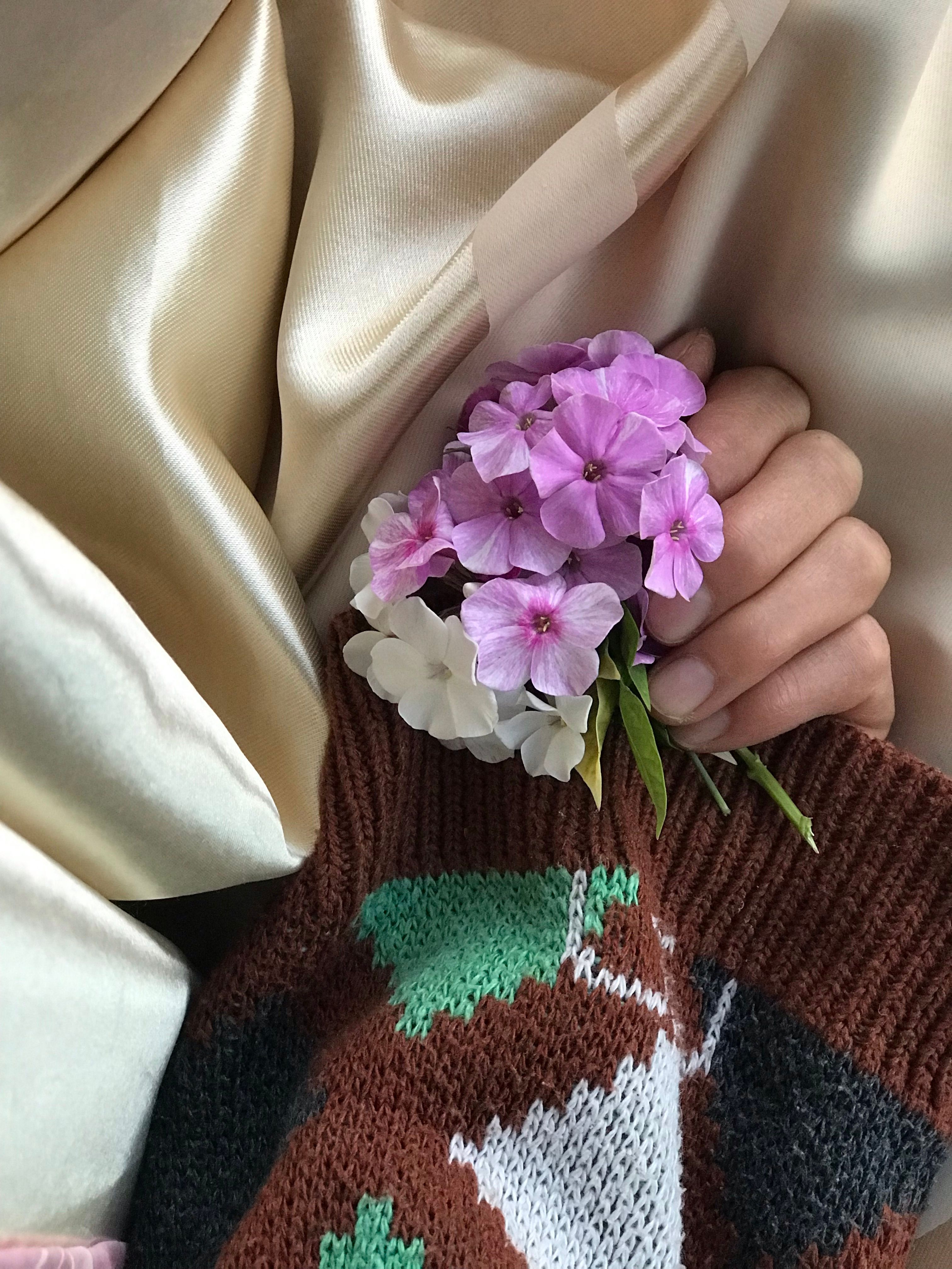 Photo of Person's Hand Holding Flowers · Free Stock Photo