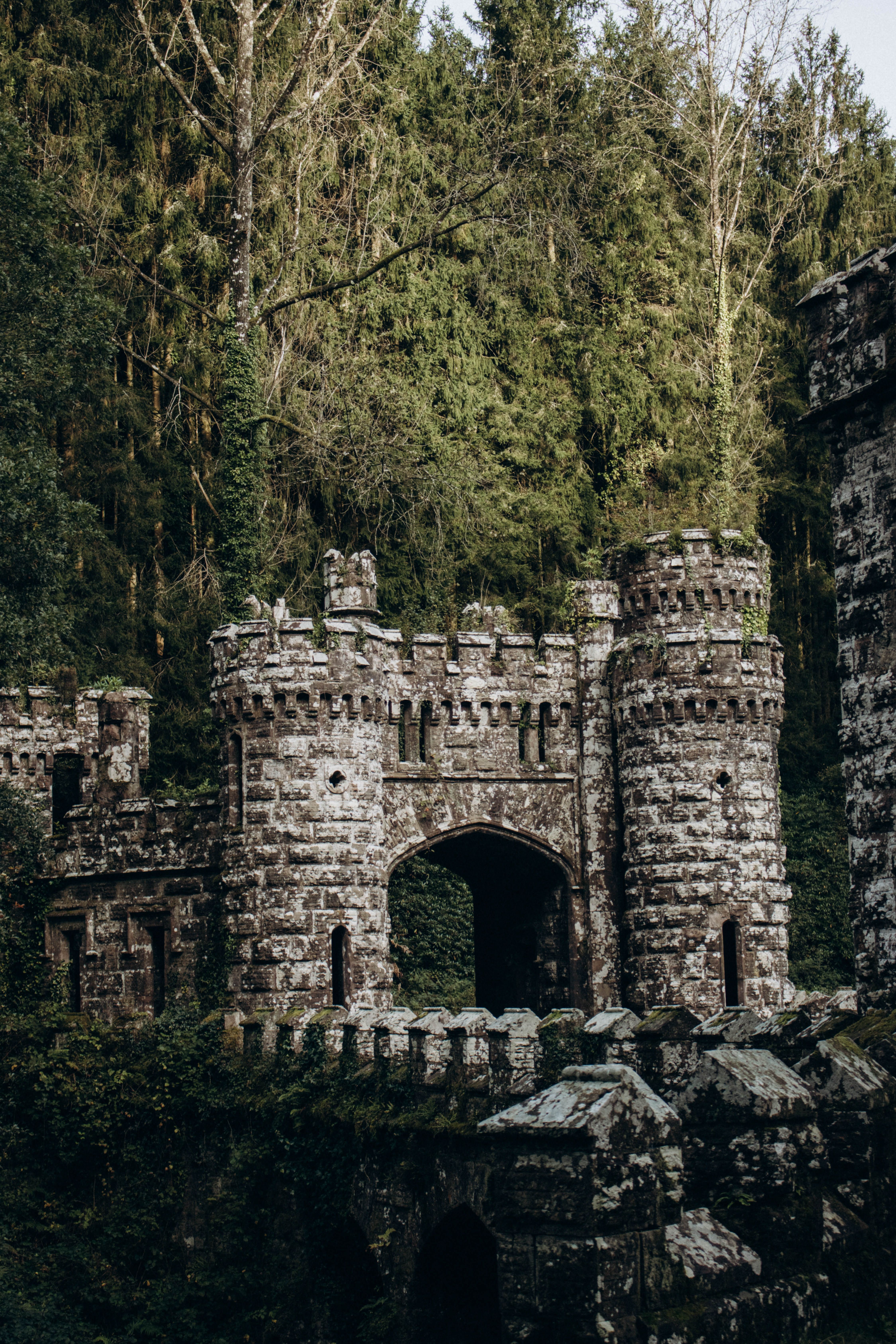 Irish Gates Photos, Download The BEST Free Irish Gates Stock Photos ...