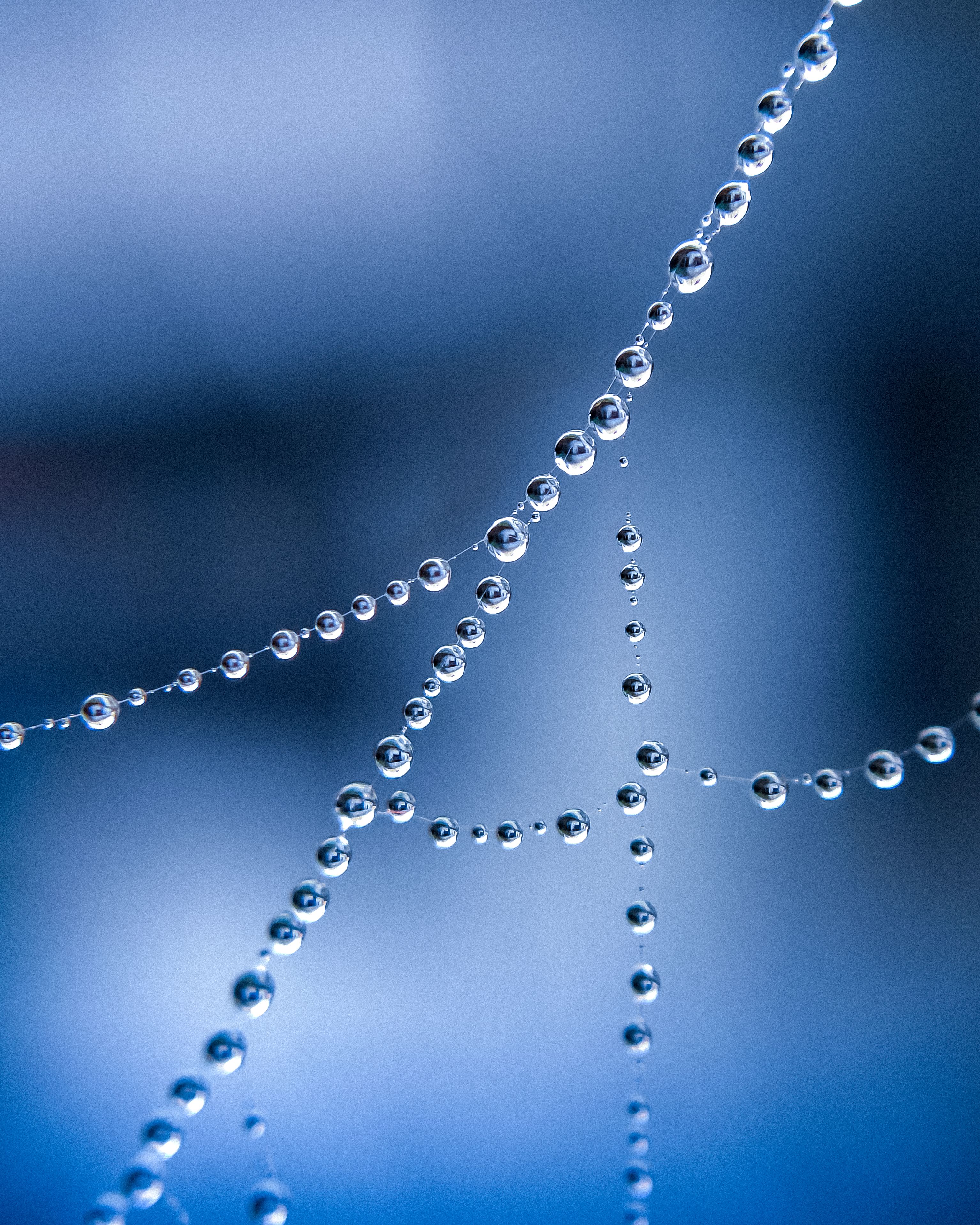 Shining Beads in Close-up View · Free Stock Photo