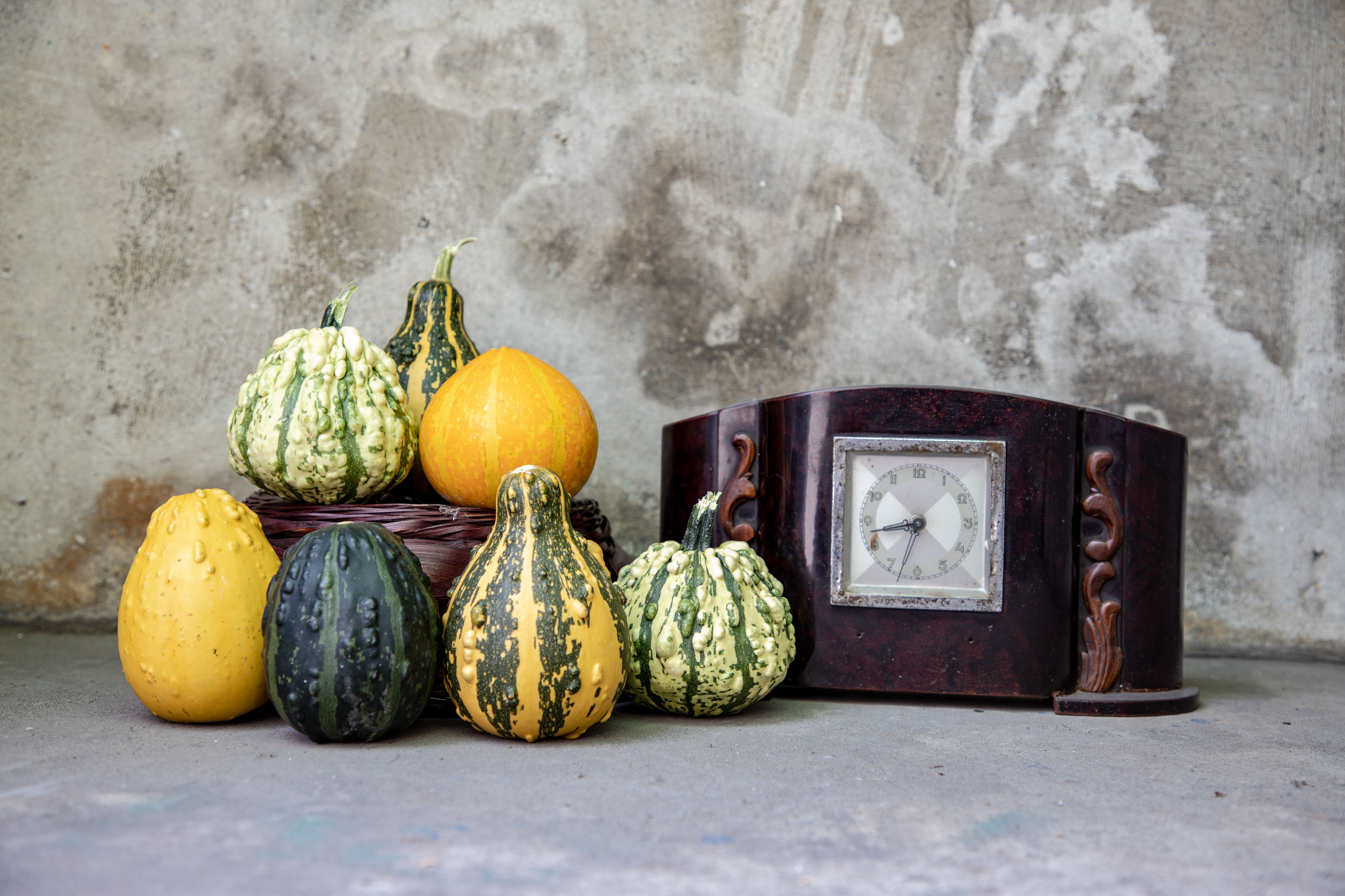 Decoration Made of Warted Ornamental Gourds and Pumpkins Next to an Old ...