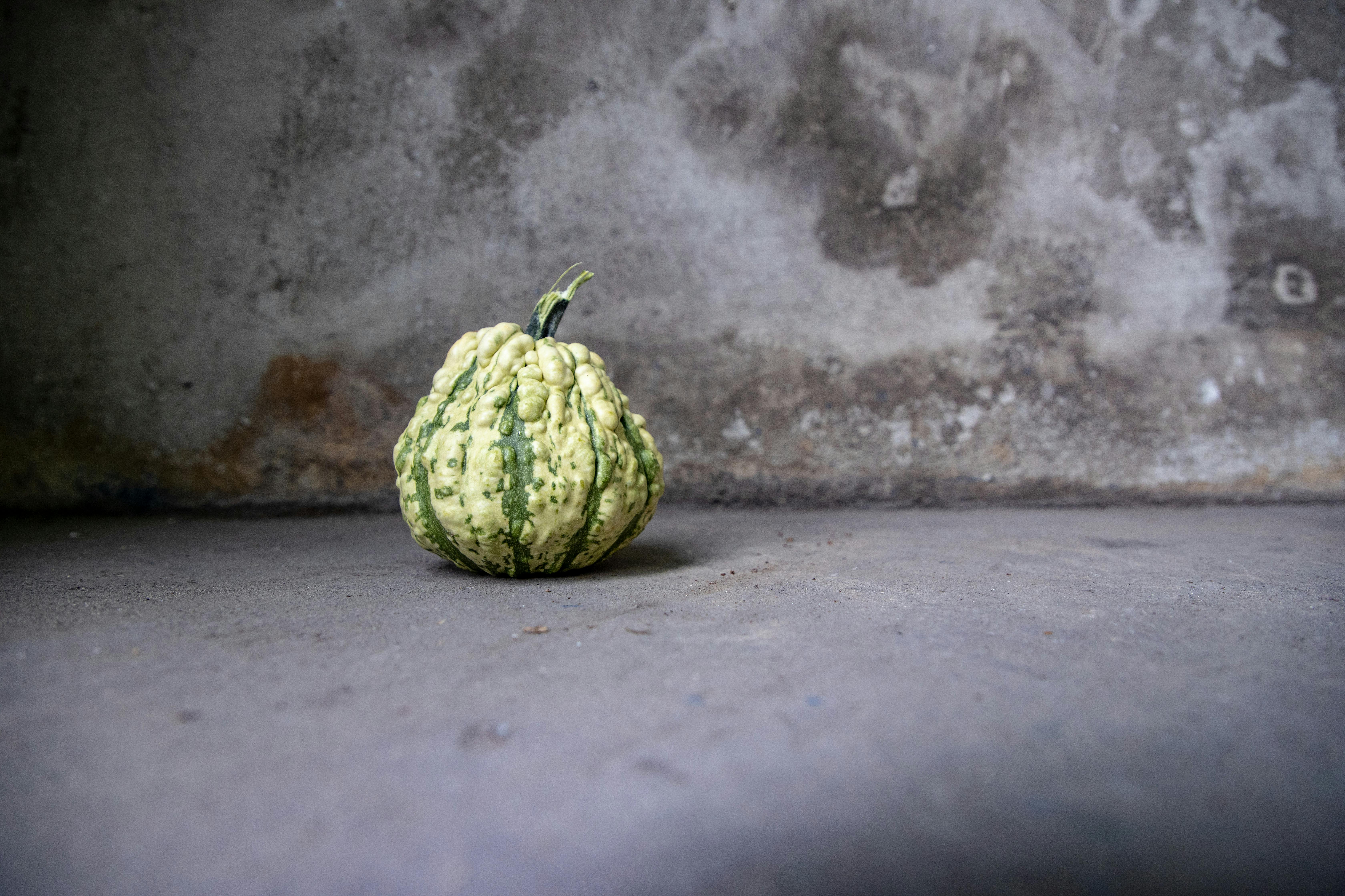 Warted Ornamental Gourd on the Floor · Free Stock Photo