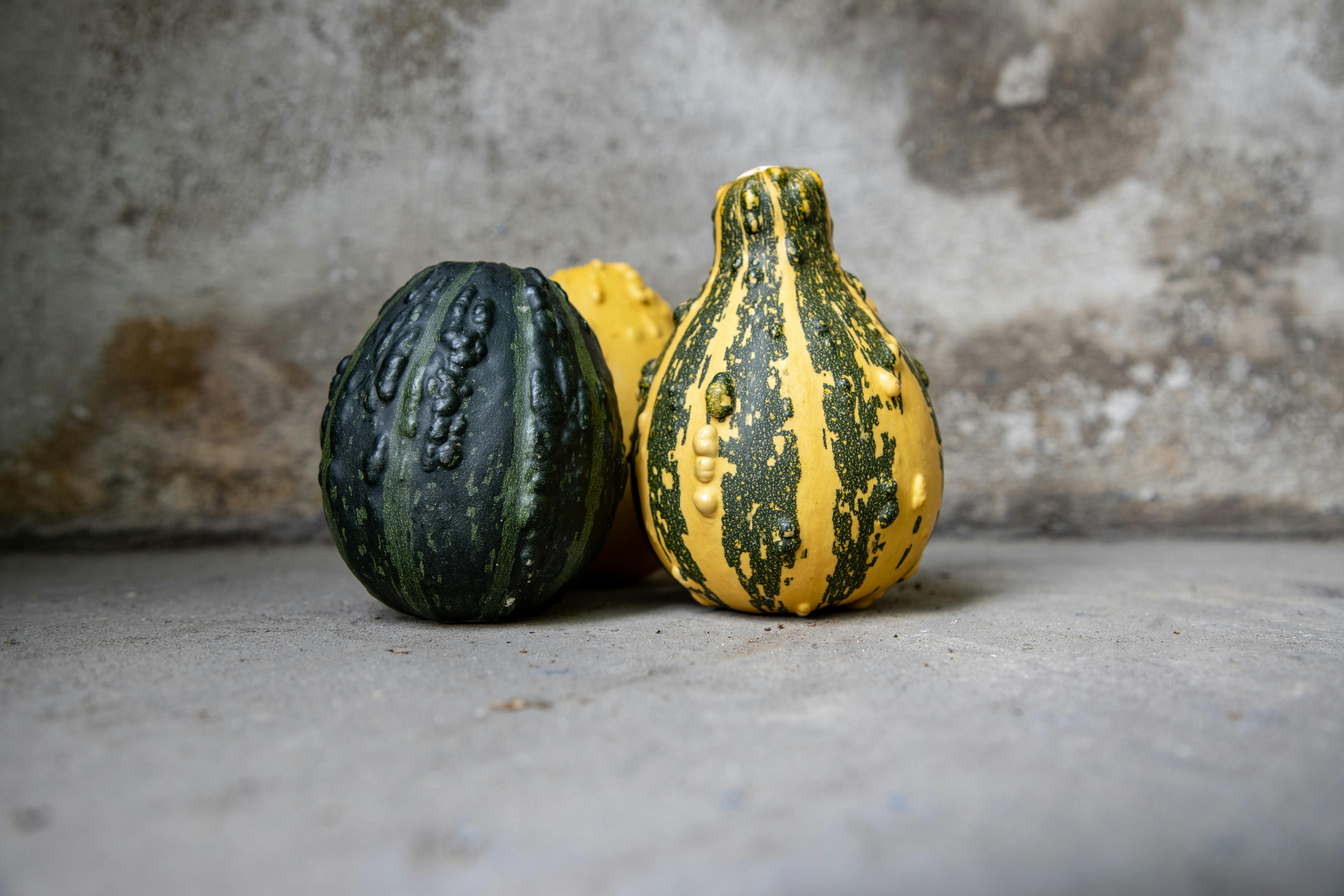 Warted Ornamental Gourds on a Floor · Free Stock Photo
